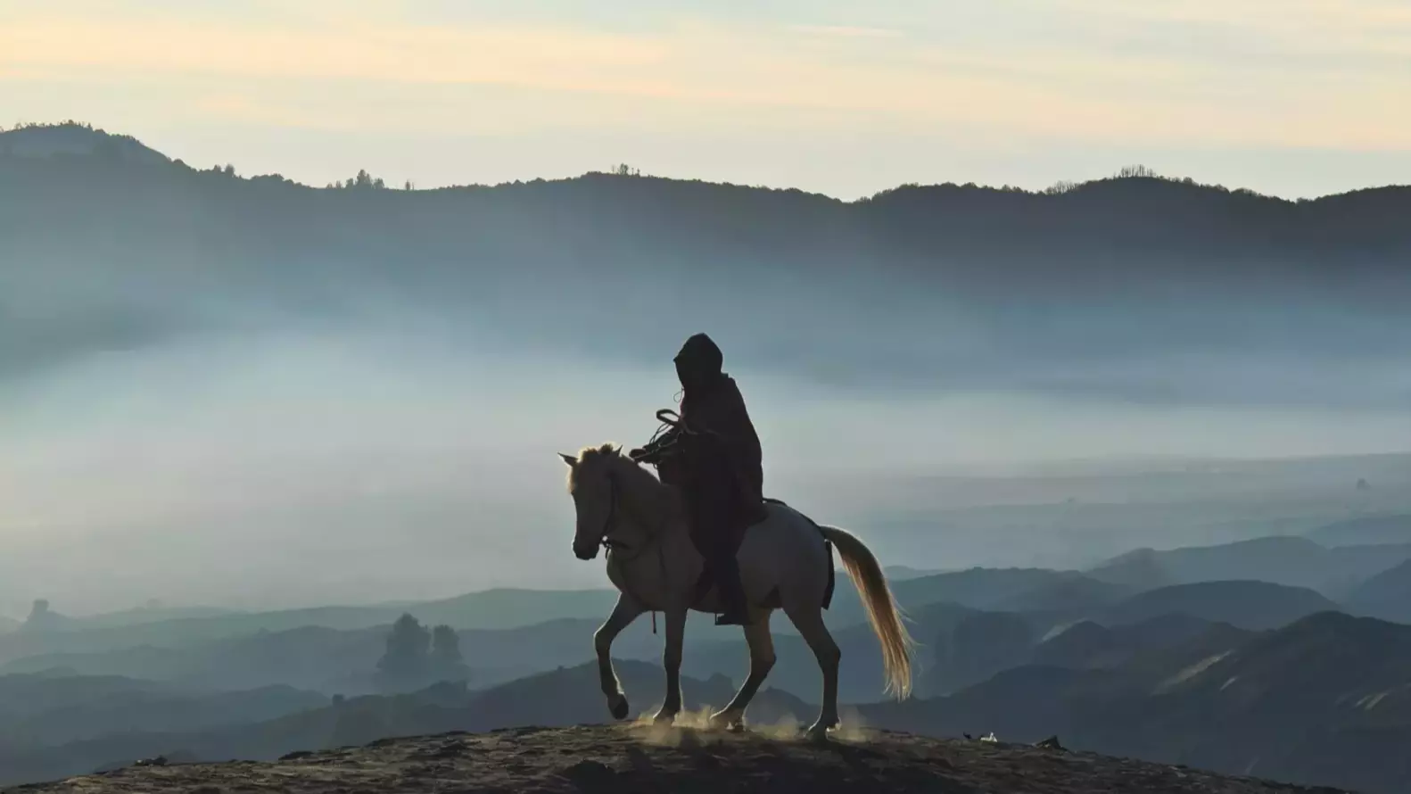 OPPO Global Community