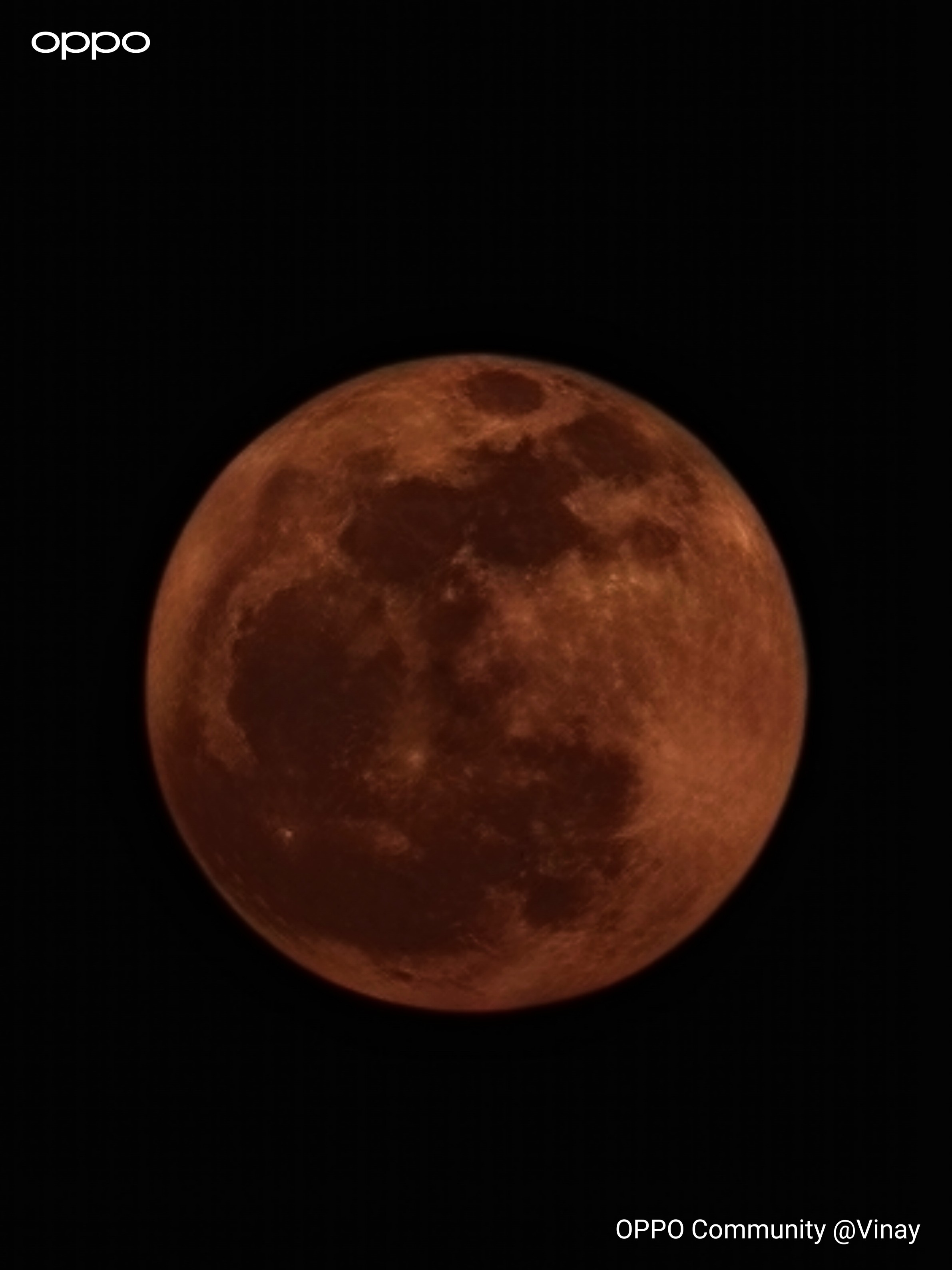 Have you captured any "Red" pic today...?1st Pic👉 When Cham