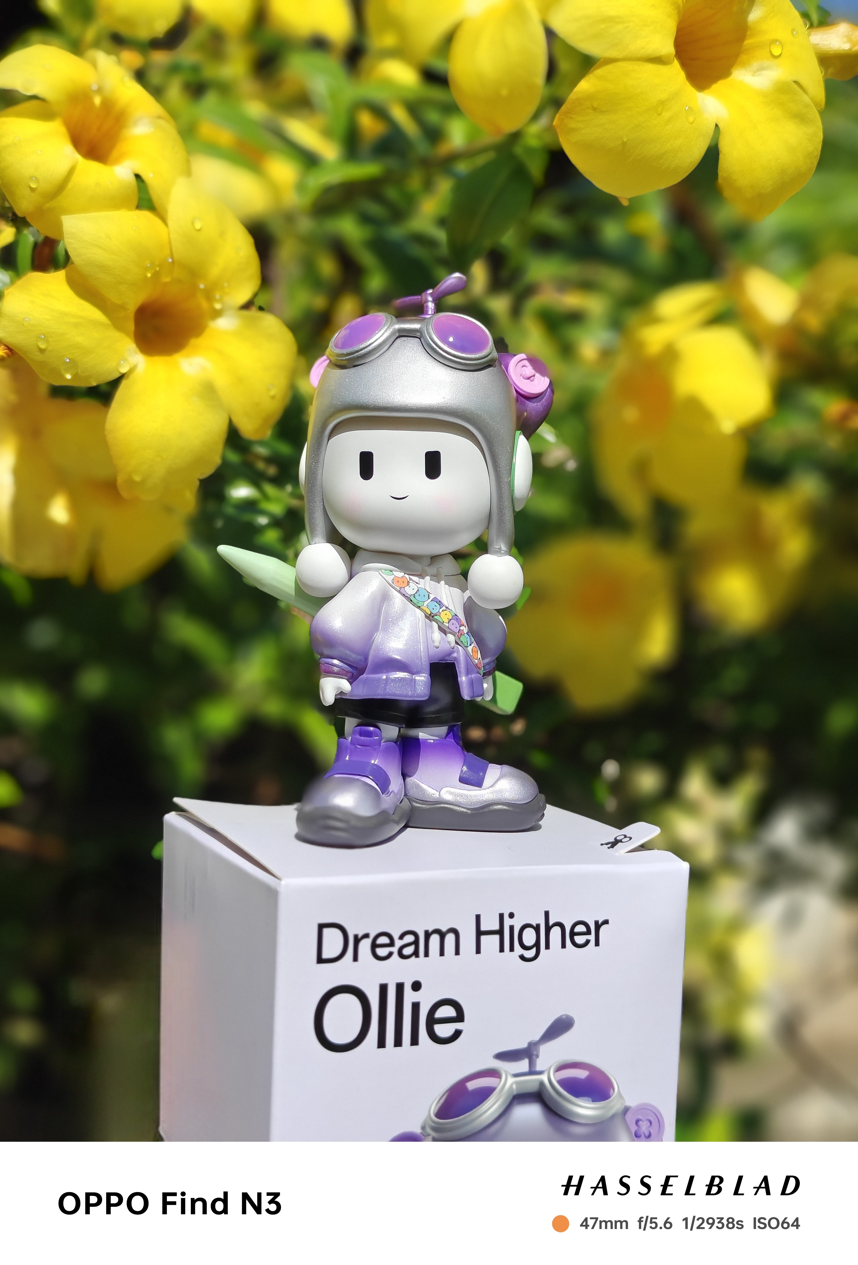 OPPO Global Community