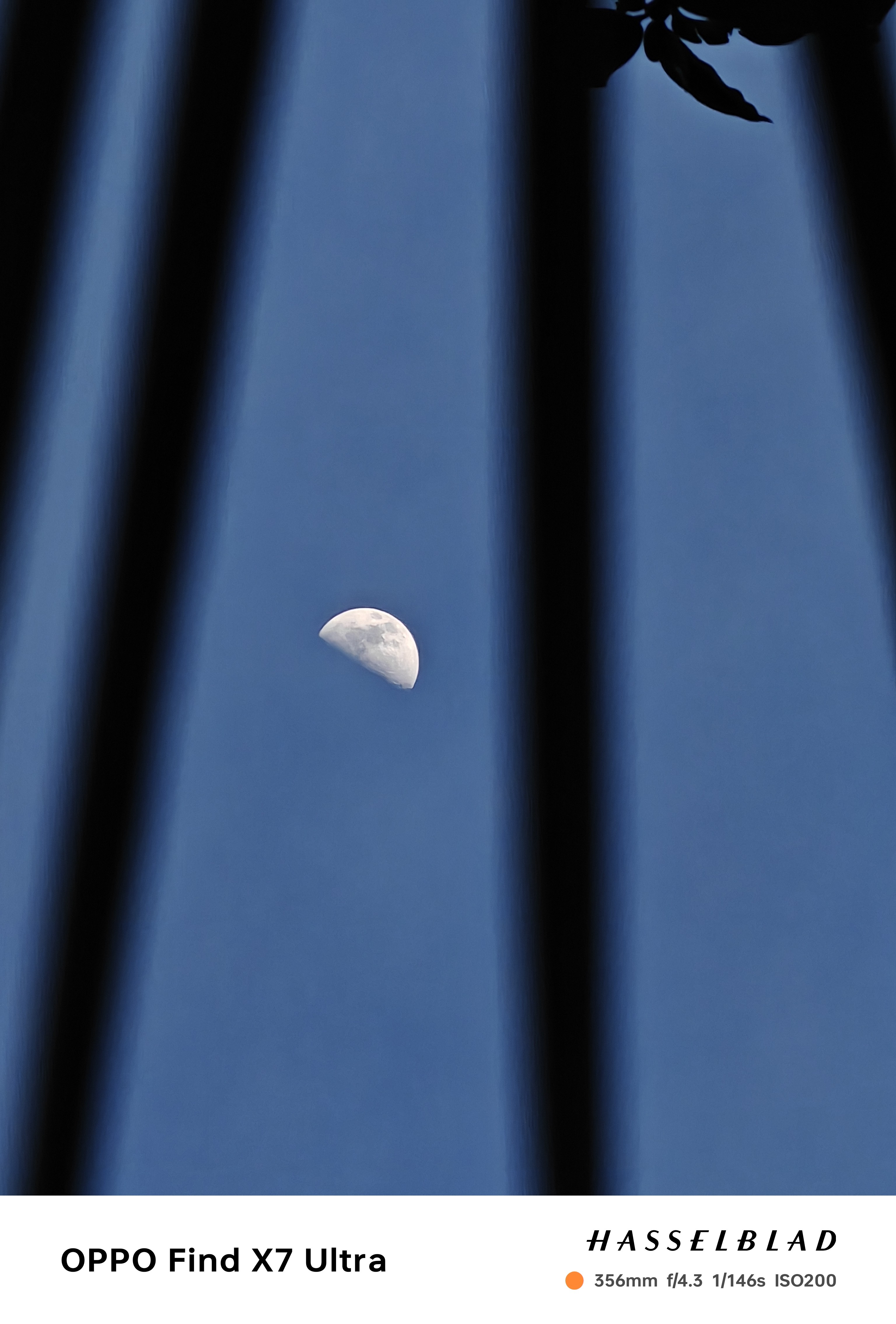 OPPO Global Community