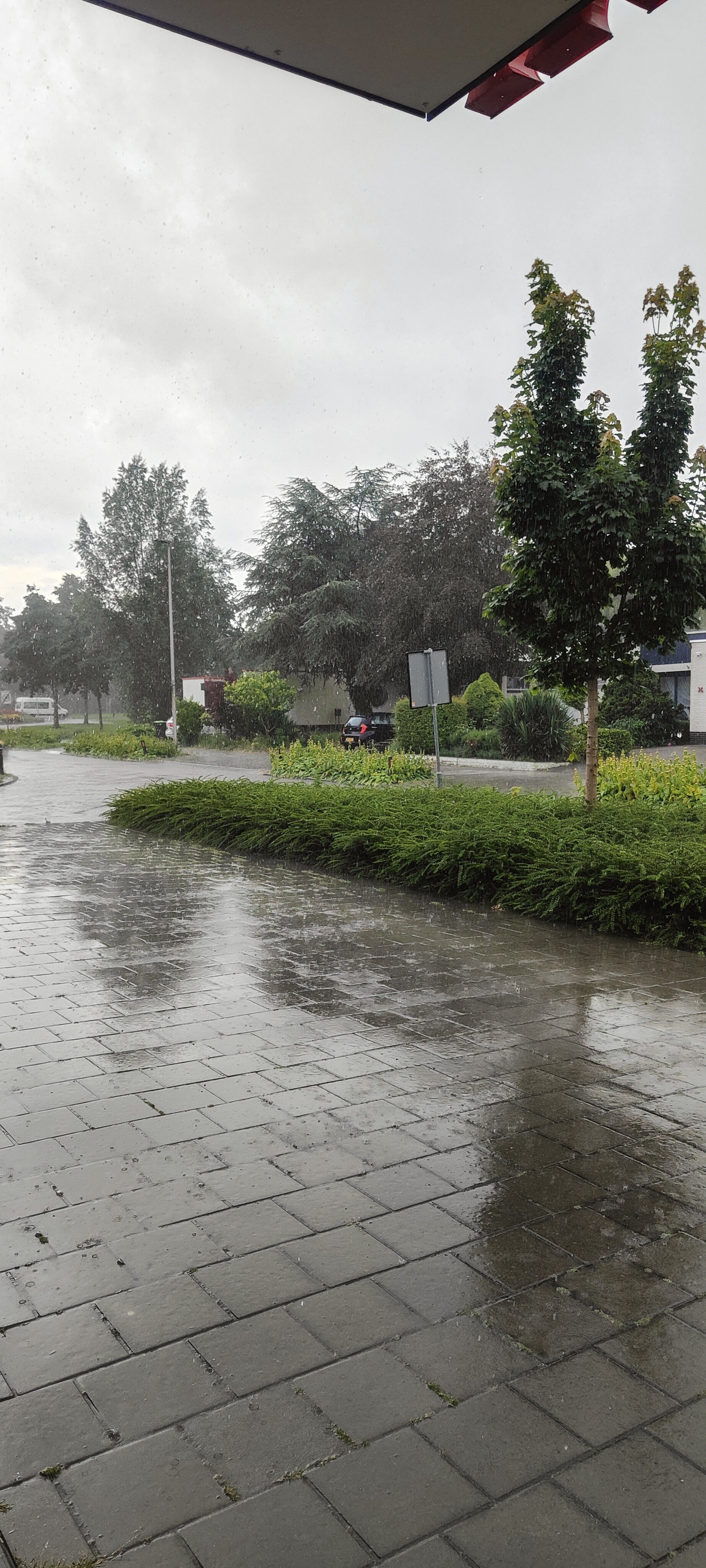Today Dutch summer weather and yesterday was very warm here