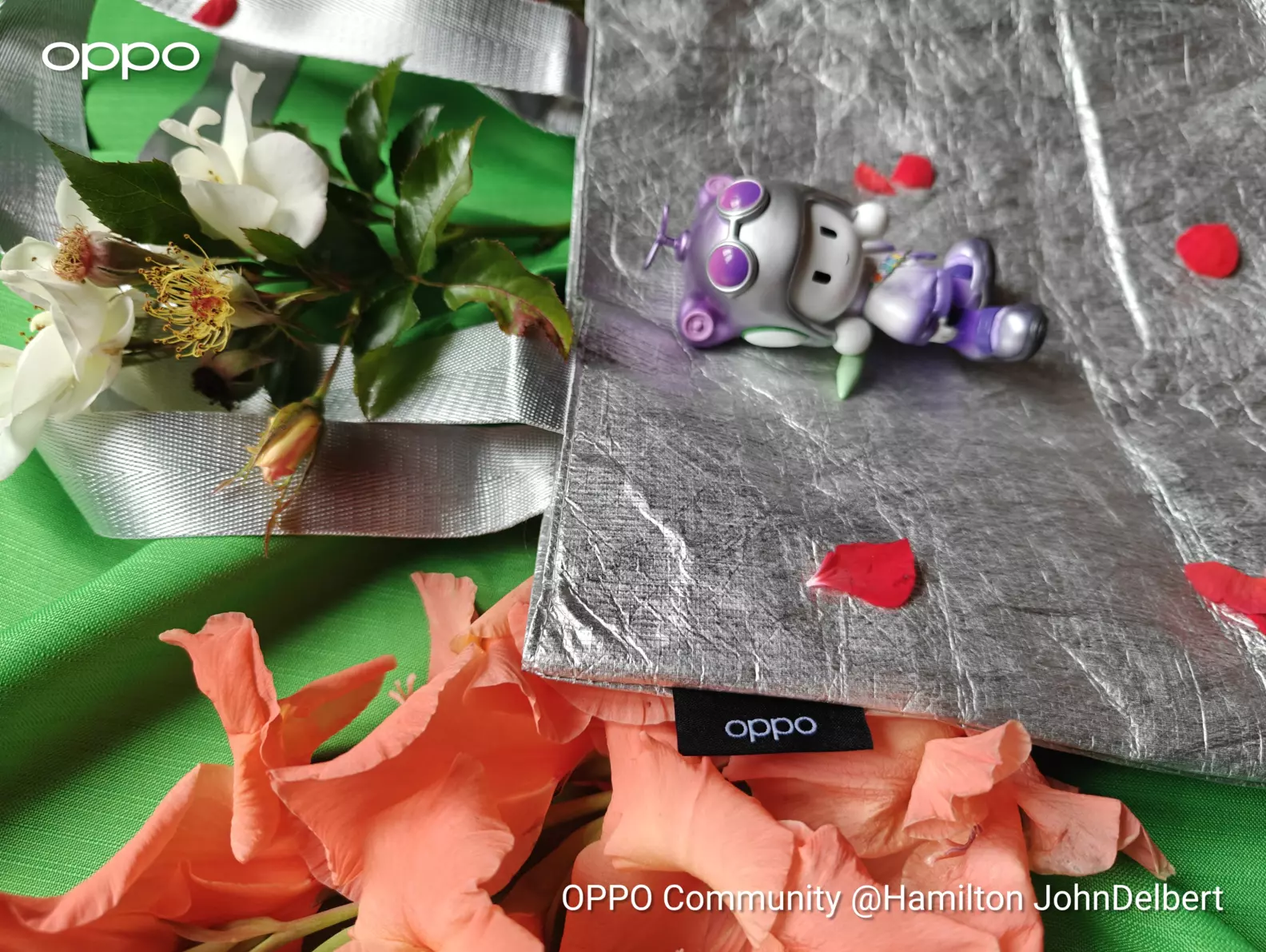 OPPO Global Community