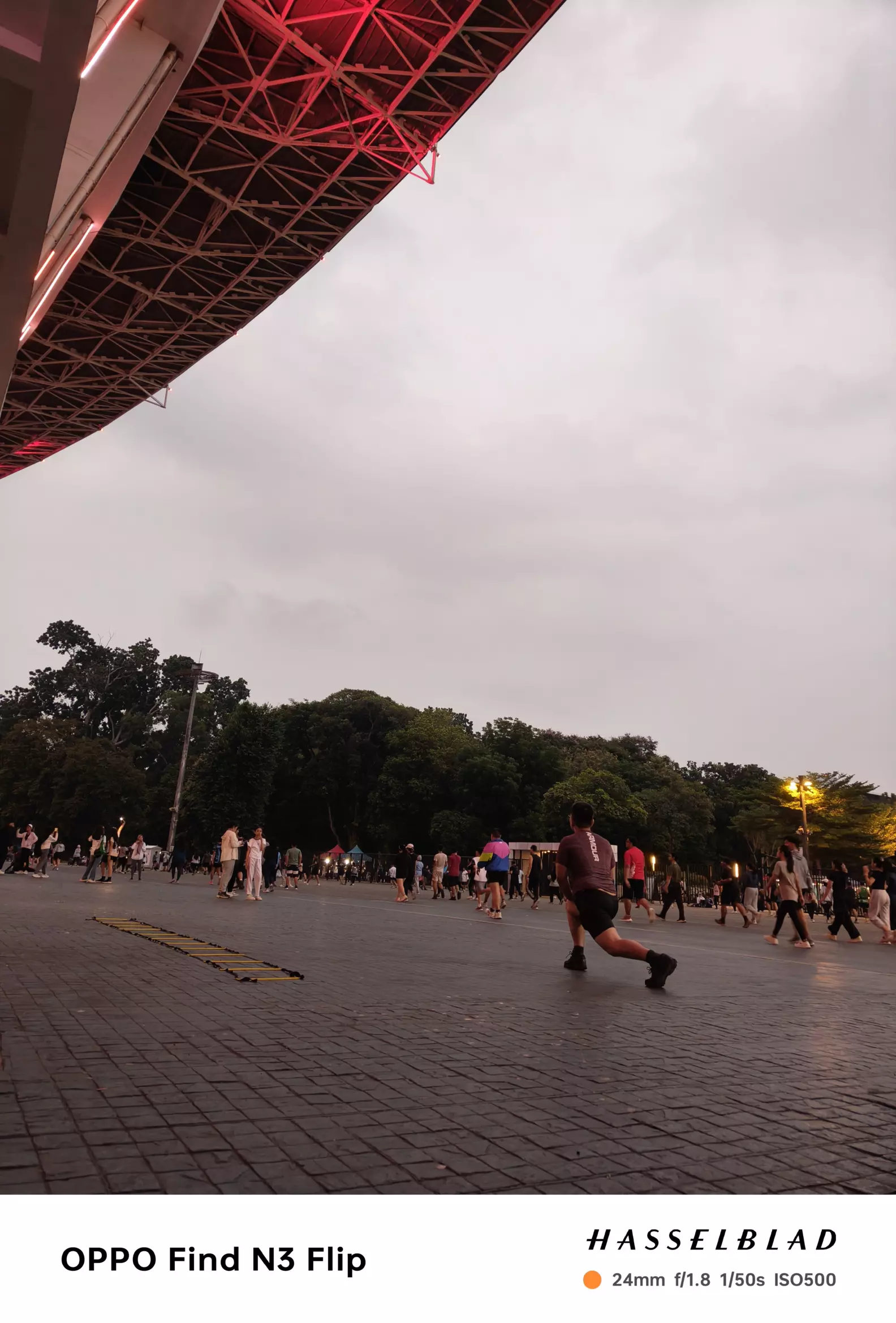 A random Pict cats and GBK Stadion
