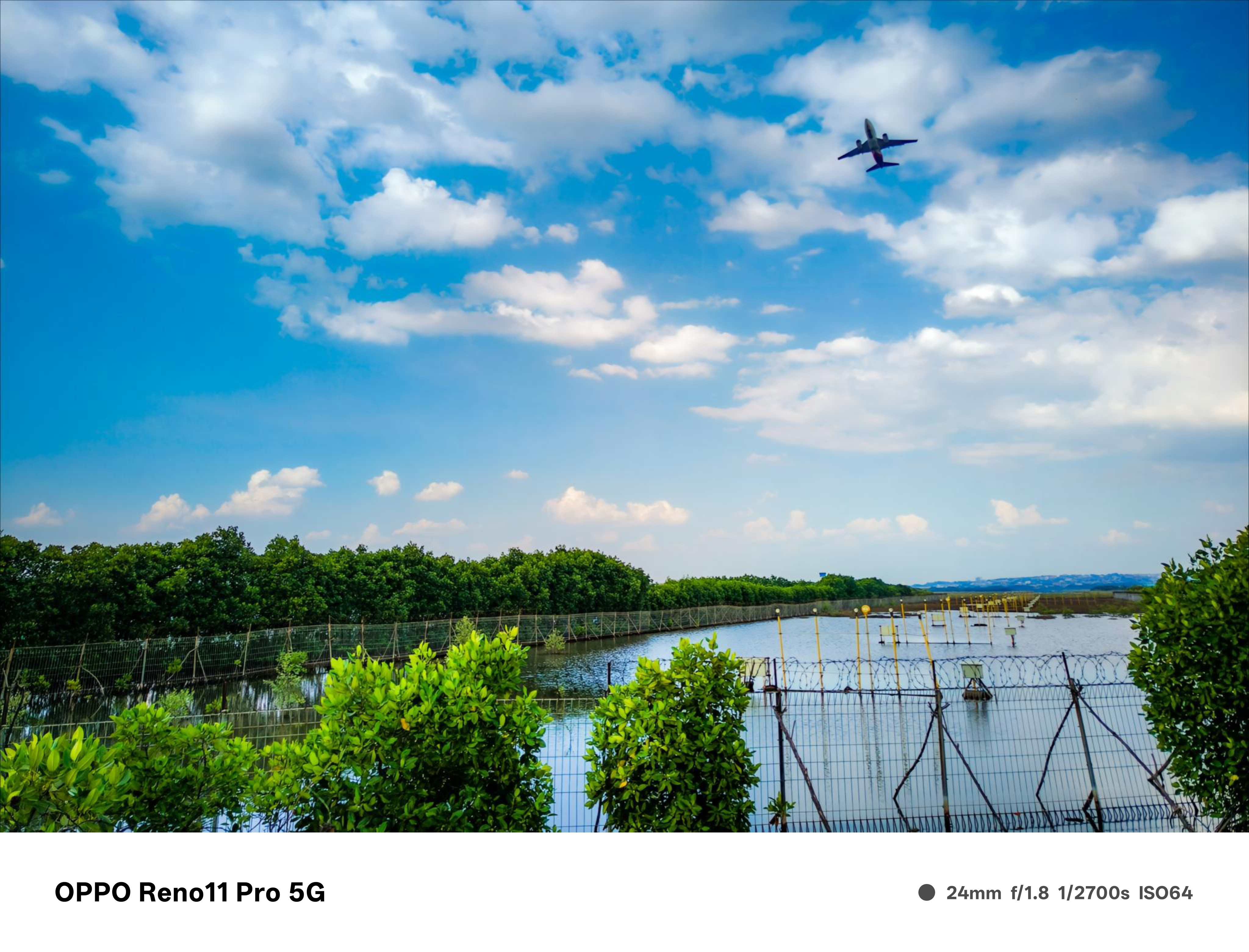 Maron Mangrove, Semarang, Central Java