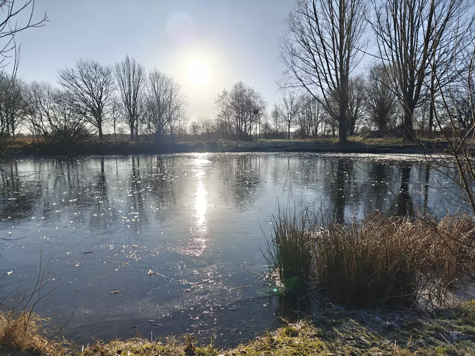 The duck ponds are frozen over here, no wonder with the sub-