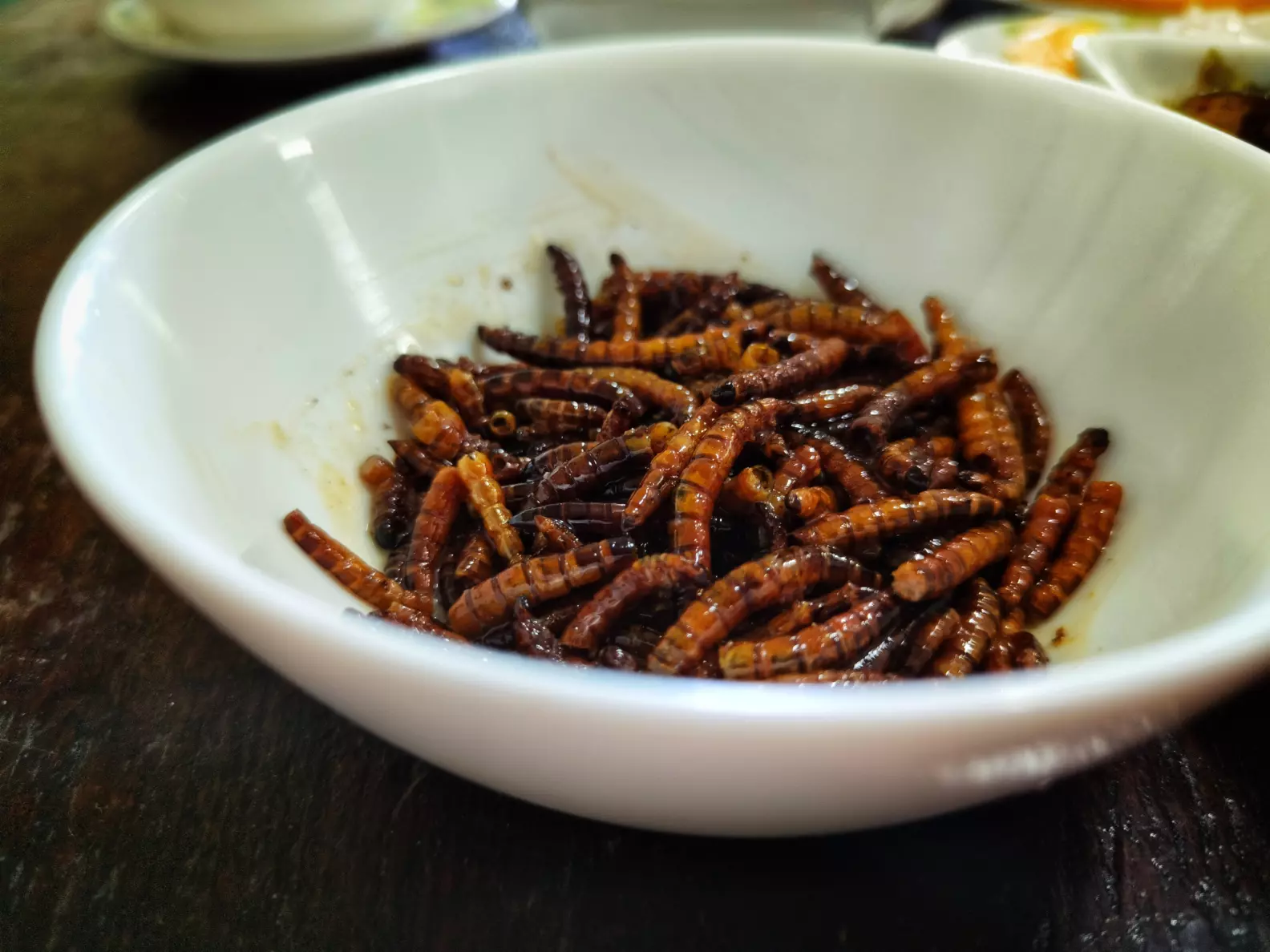 Have you ever tried eating fried worms? I did and it's was d