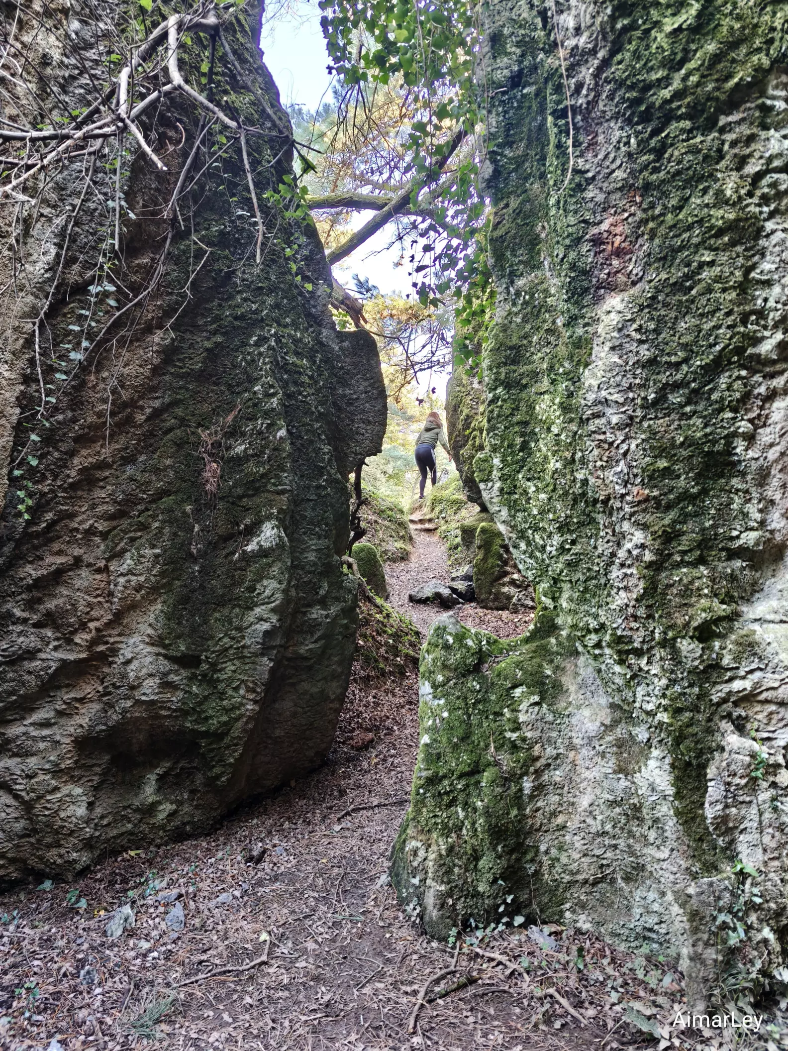 we returned to the old mining area, in the upper area of mou