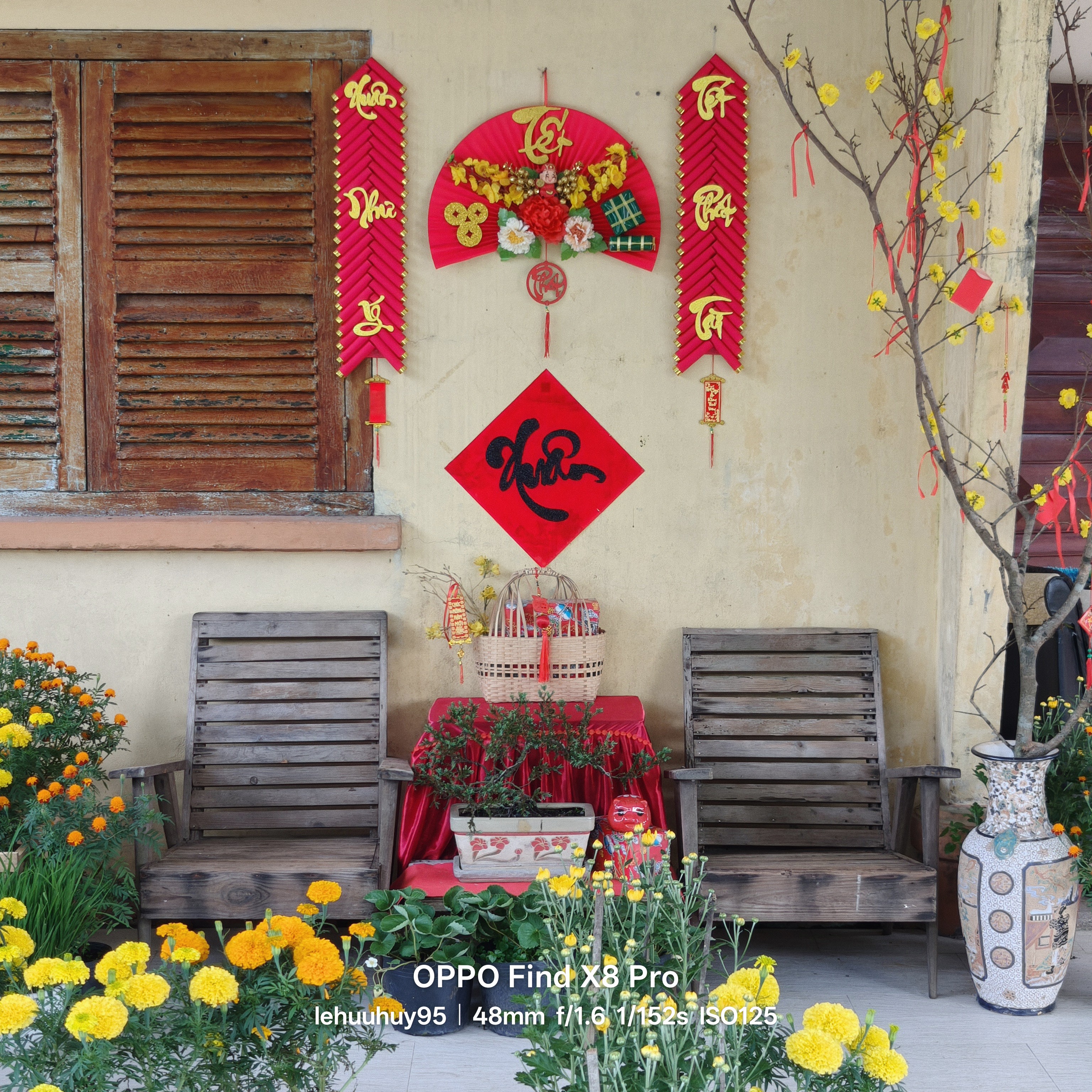 🧧 Traditional Vietnamese Tet decoration corner by me. Shoto