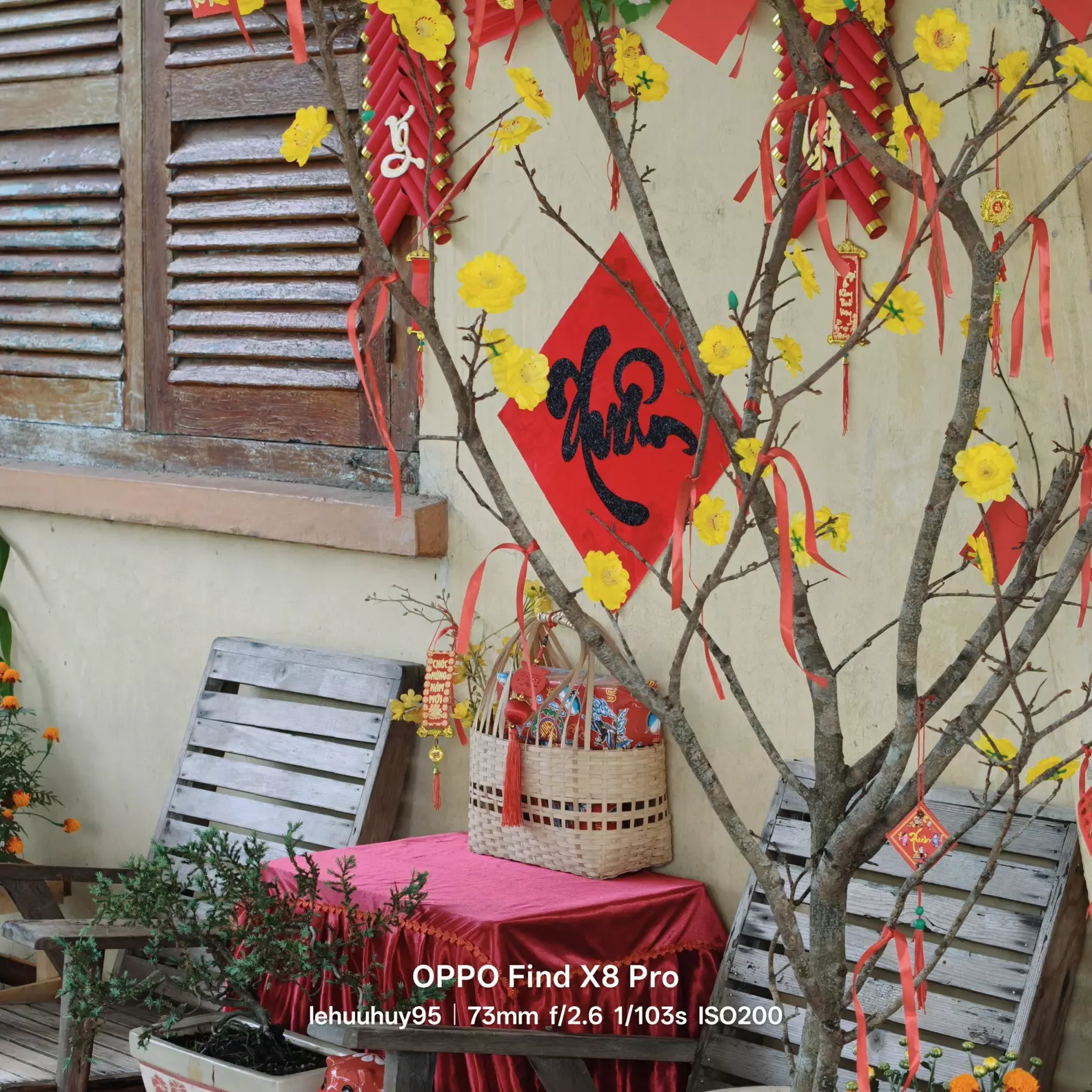 🧧 Traditional Vietnamese Tet decoration corner by me. Shoto