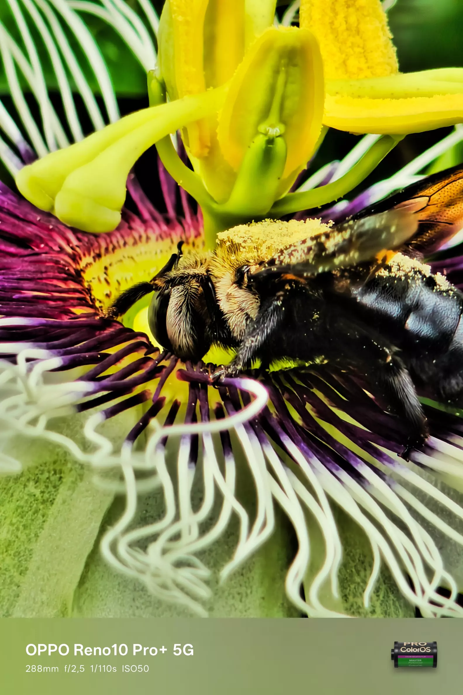 Can you guys spot me? I got covered in pollen from the flowe