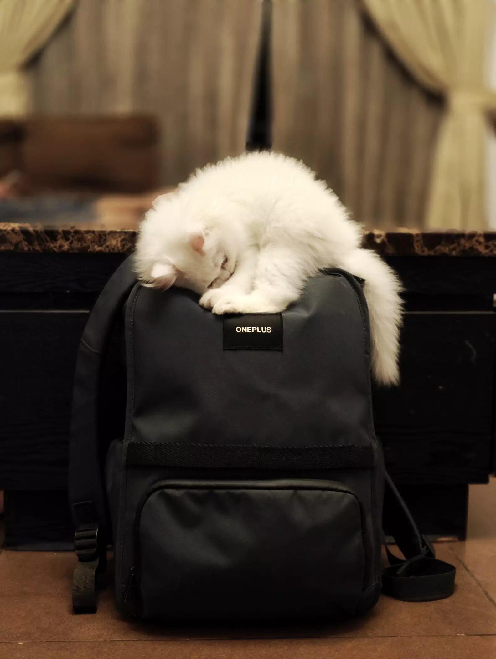 Oneplus adventure backpack 🎒 - Tough, durable, sturdy and most ...