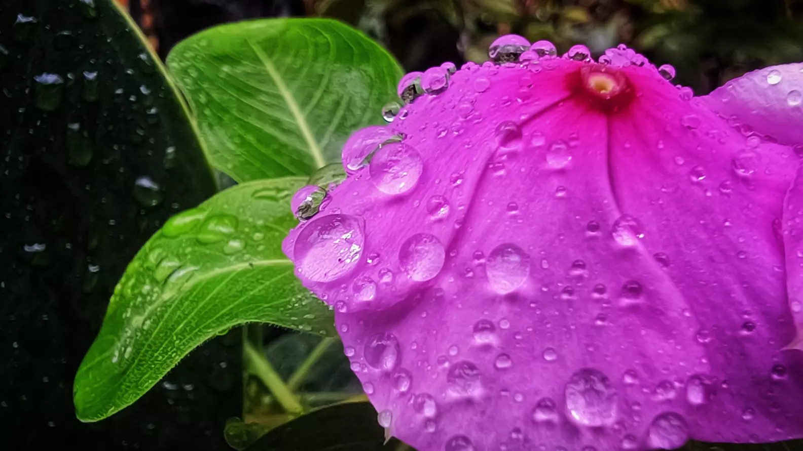 When the rain stopped pouring