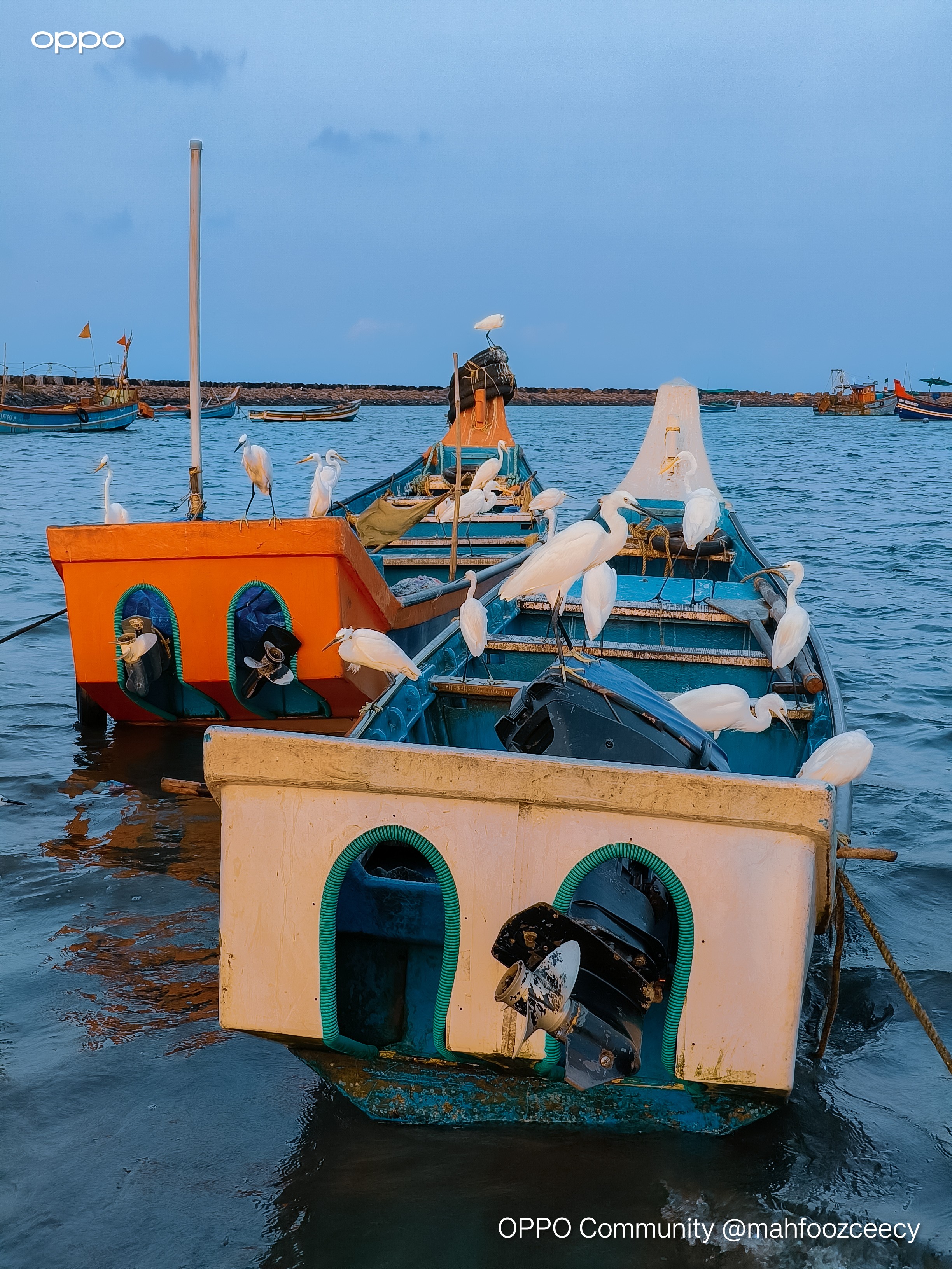 Morning Walk Snaps @ the Calicut Harbour.The harbour is a pl