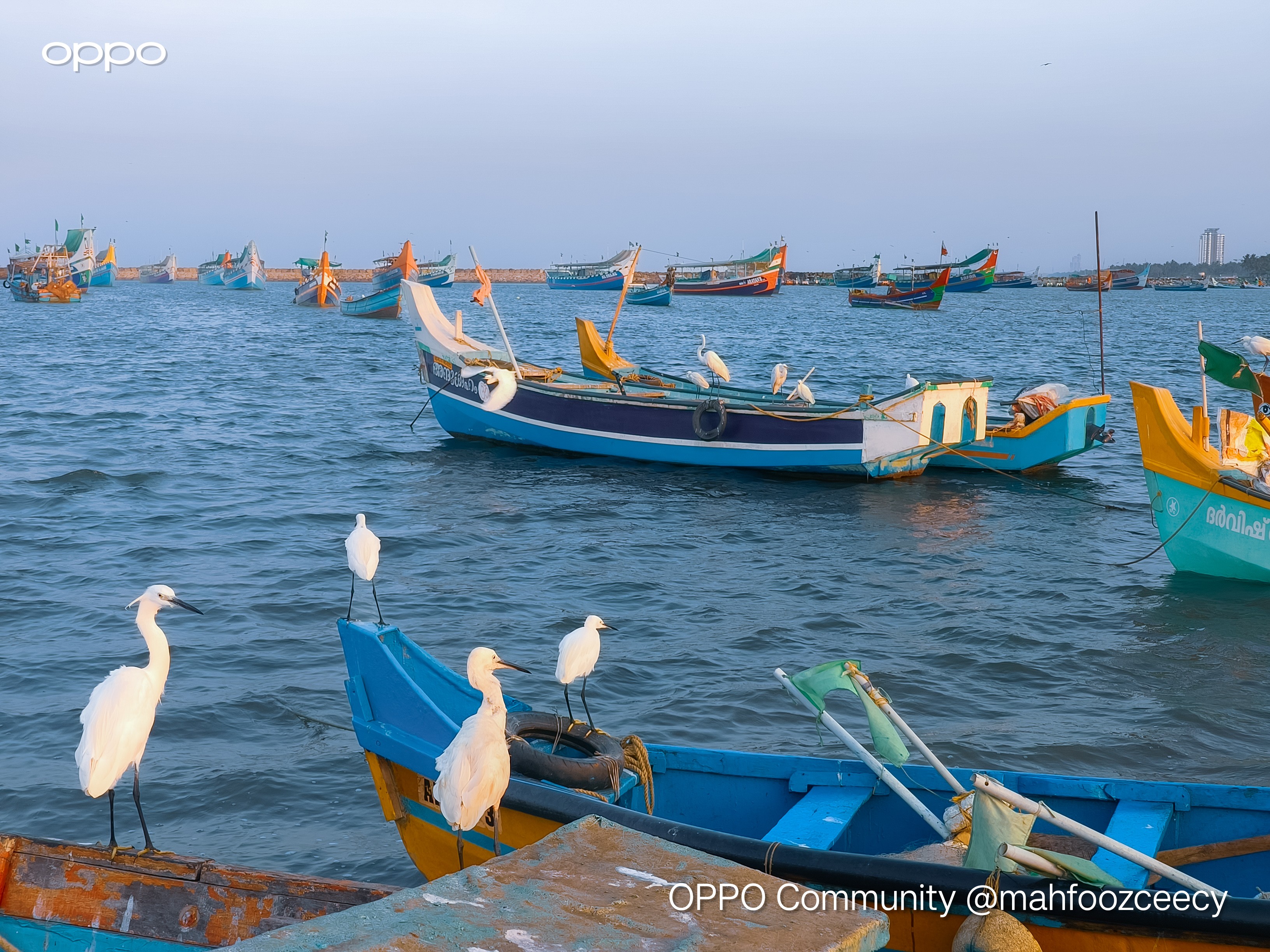 Morning Walk Snaps @ the Calicut Harbour.The harbour is a pl