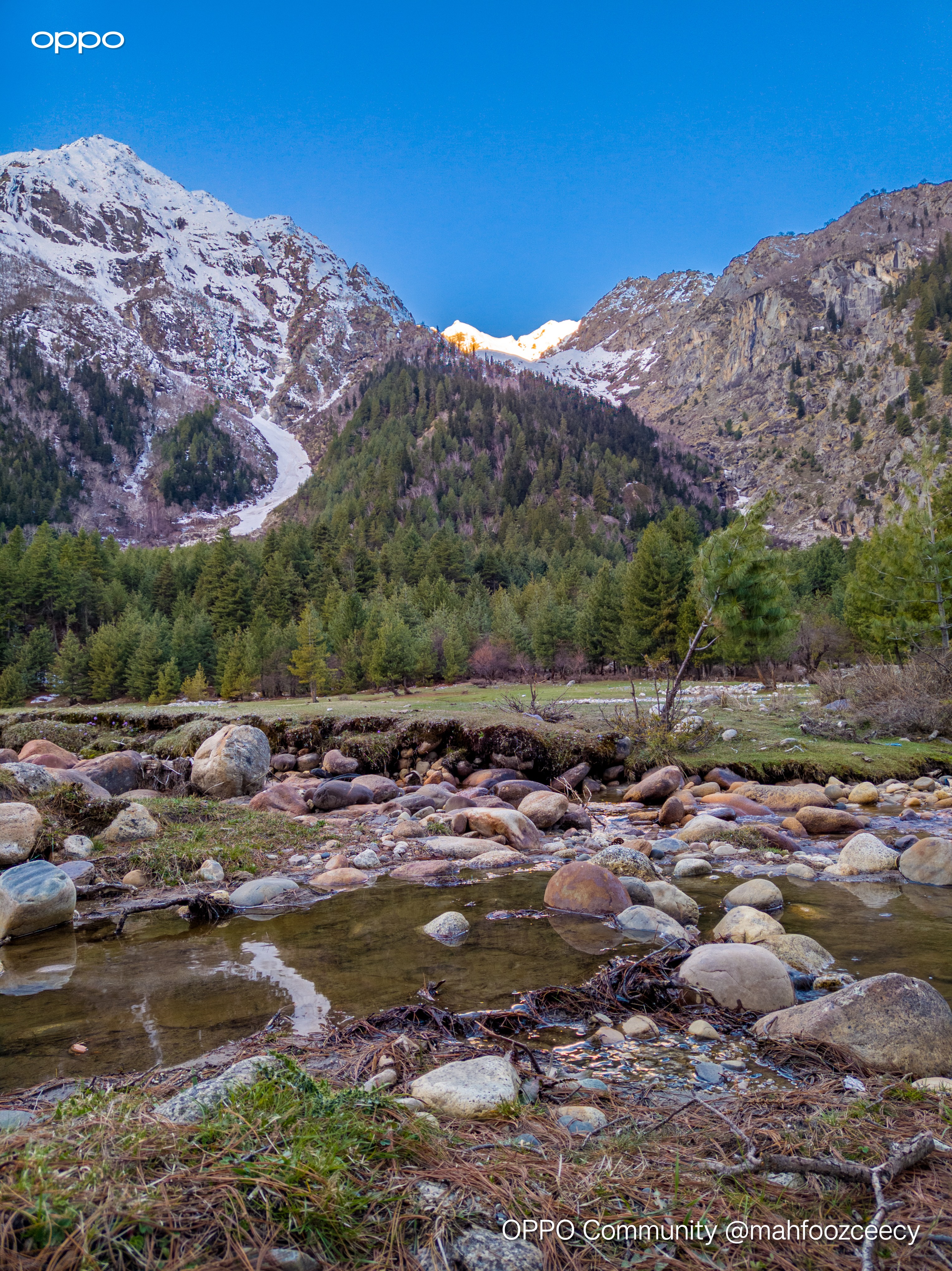 Some Snaps taken on a Beautiful Morning at Rakcham, Himachal