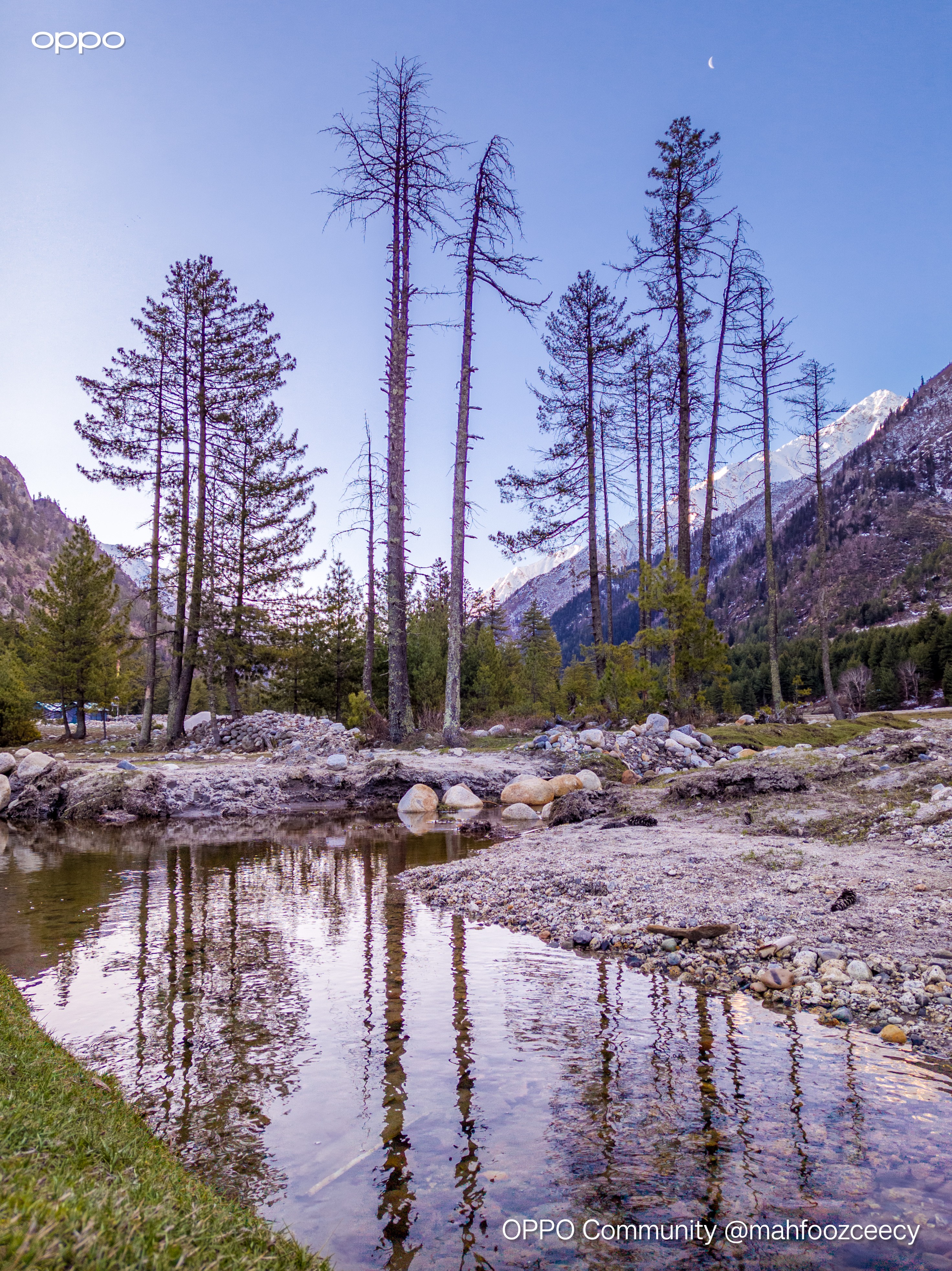 Some Snaps taken on a Beautiful Morning at Rakcham, Himachal