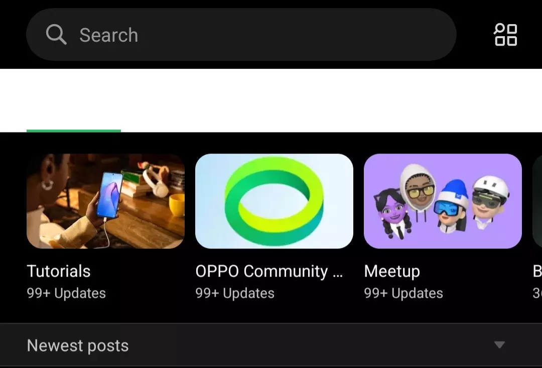I recently updated the OPPO Community app and noticed a poss