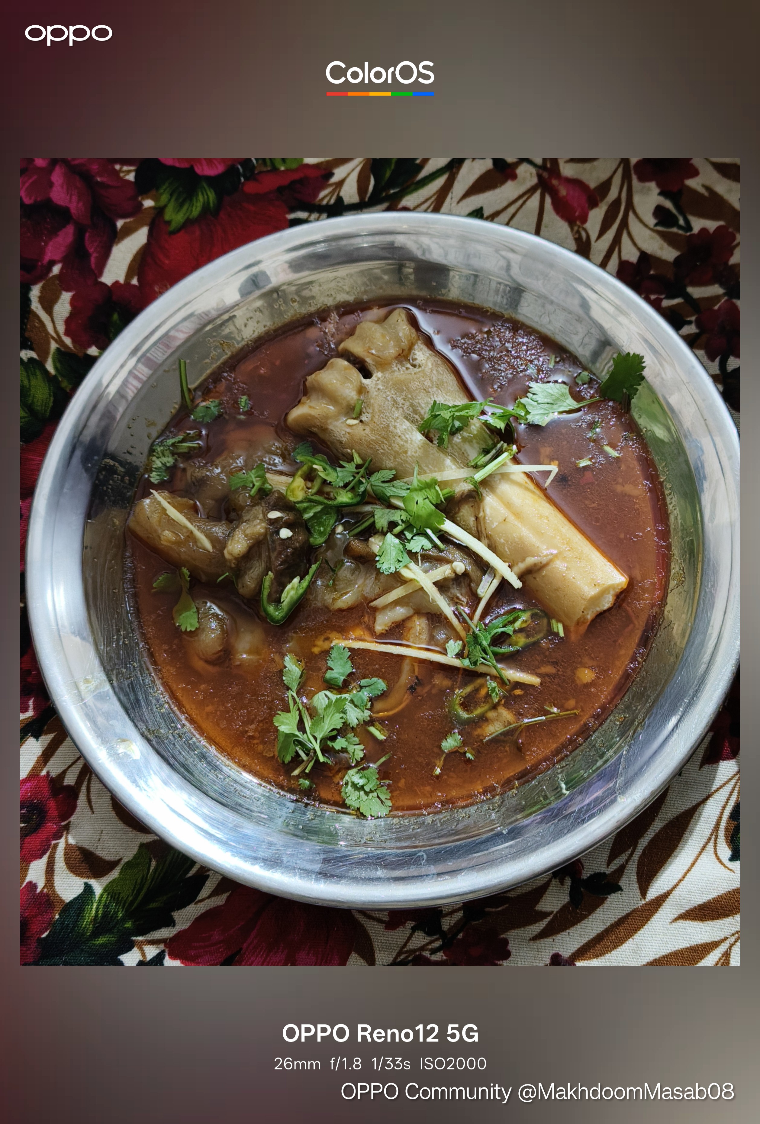 FOOD SERIES: PAYA