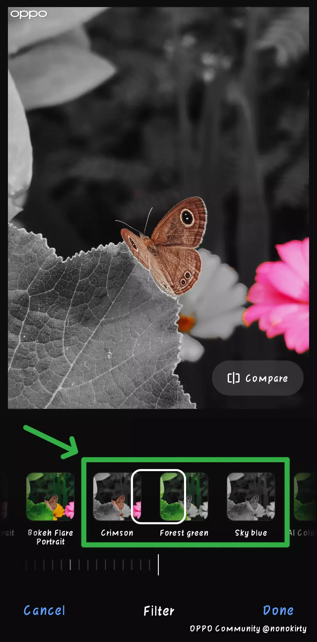 New ColorOS 15 Photo Filters – Crimson, Forest Green, Sky Blue