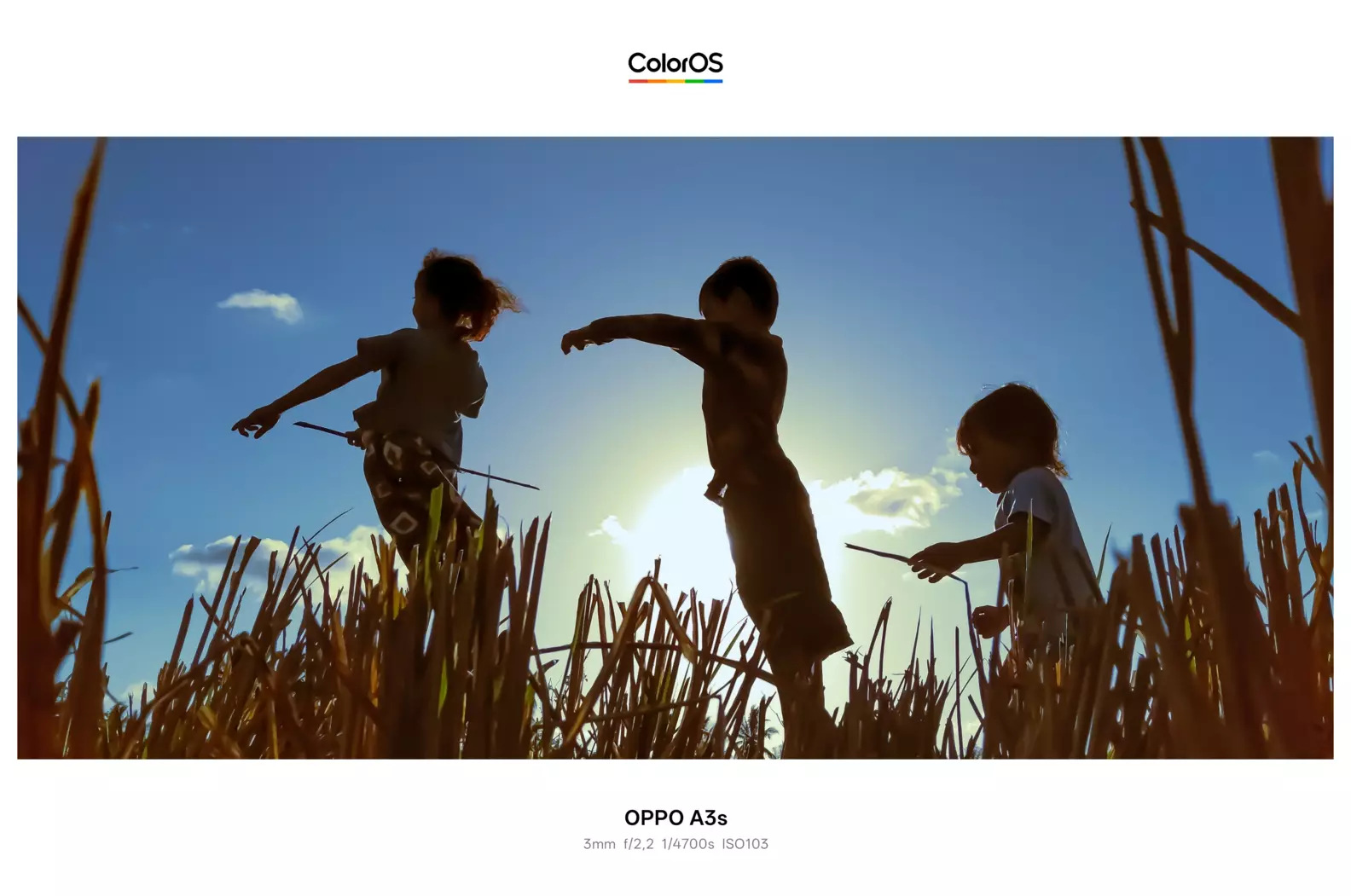 My OPPO Photography Journey