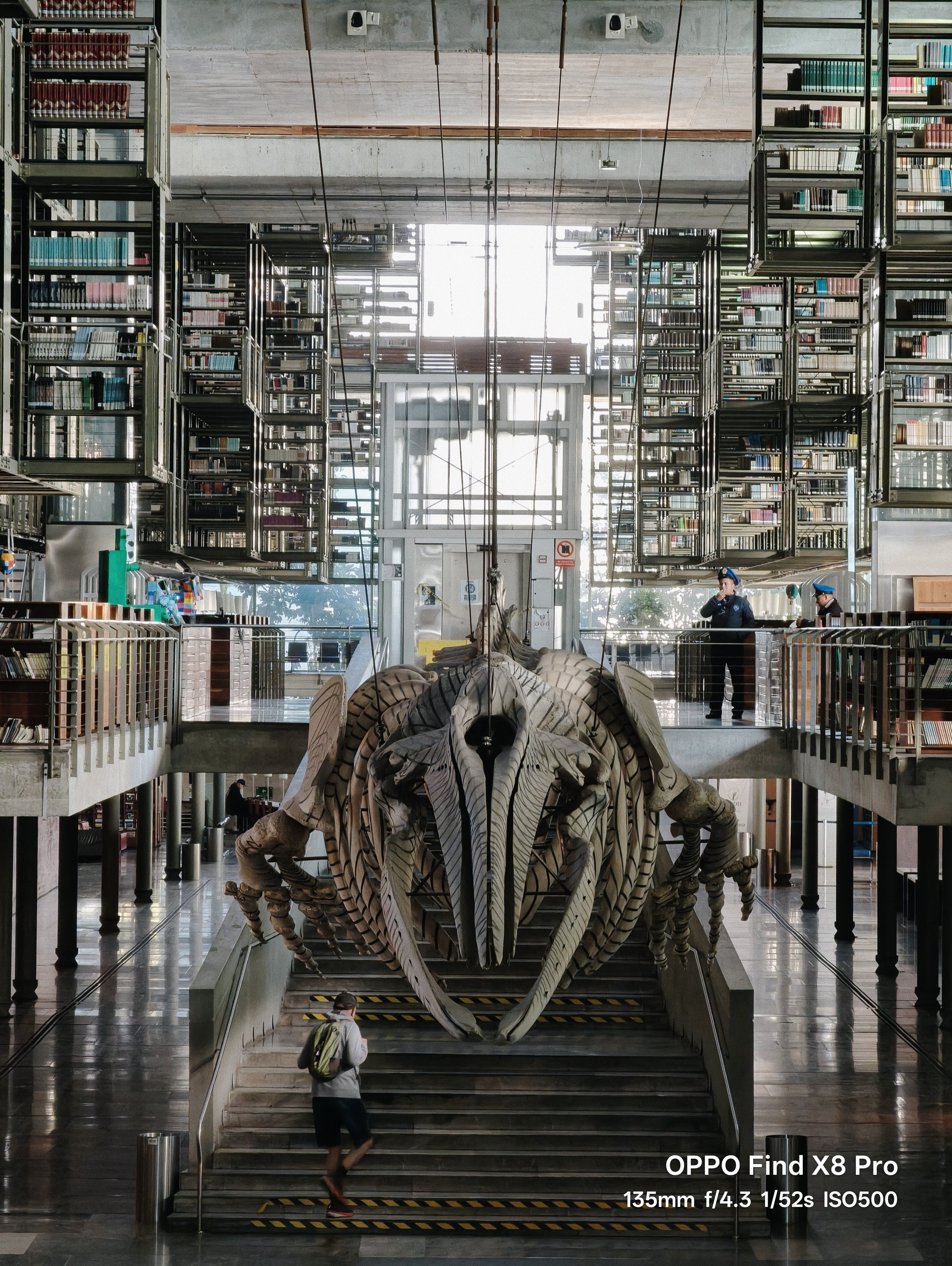 The most beautiful library in MexicoIt seems like part of th
