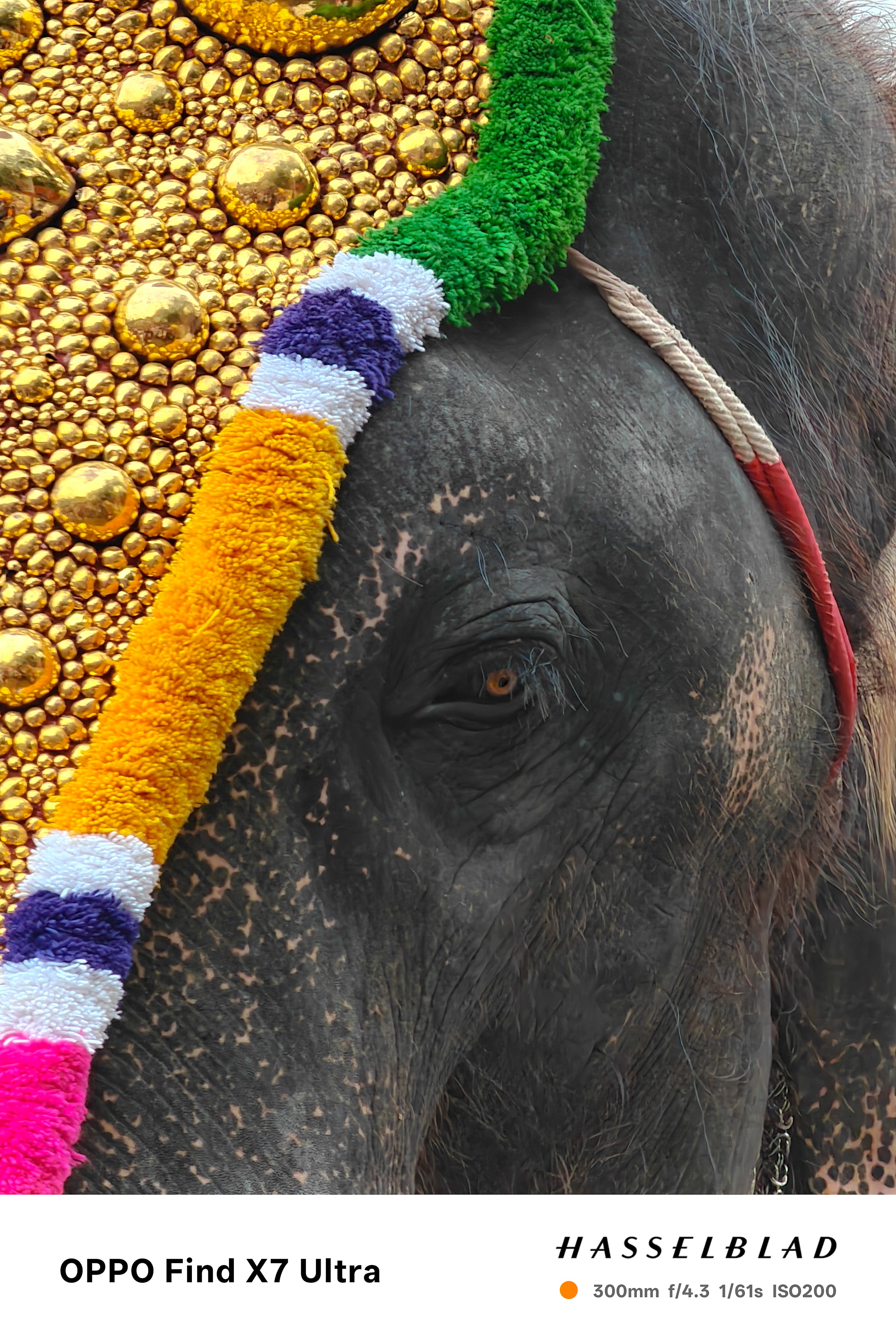 The Grand Nedumkuthira: A Spectacle at Kerala's Festival
