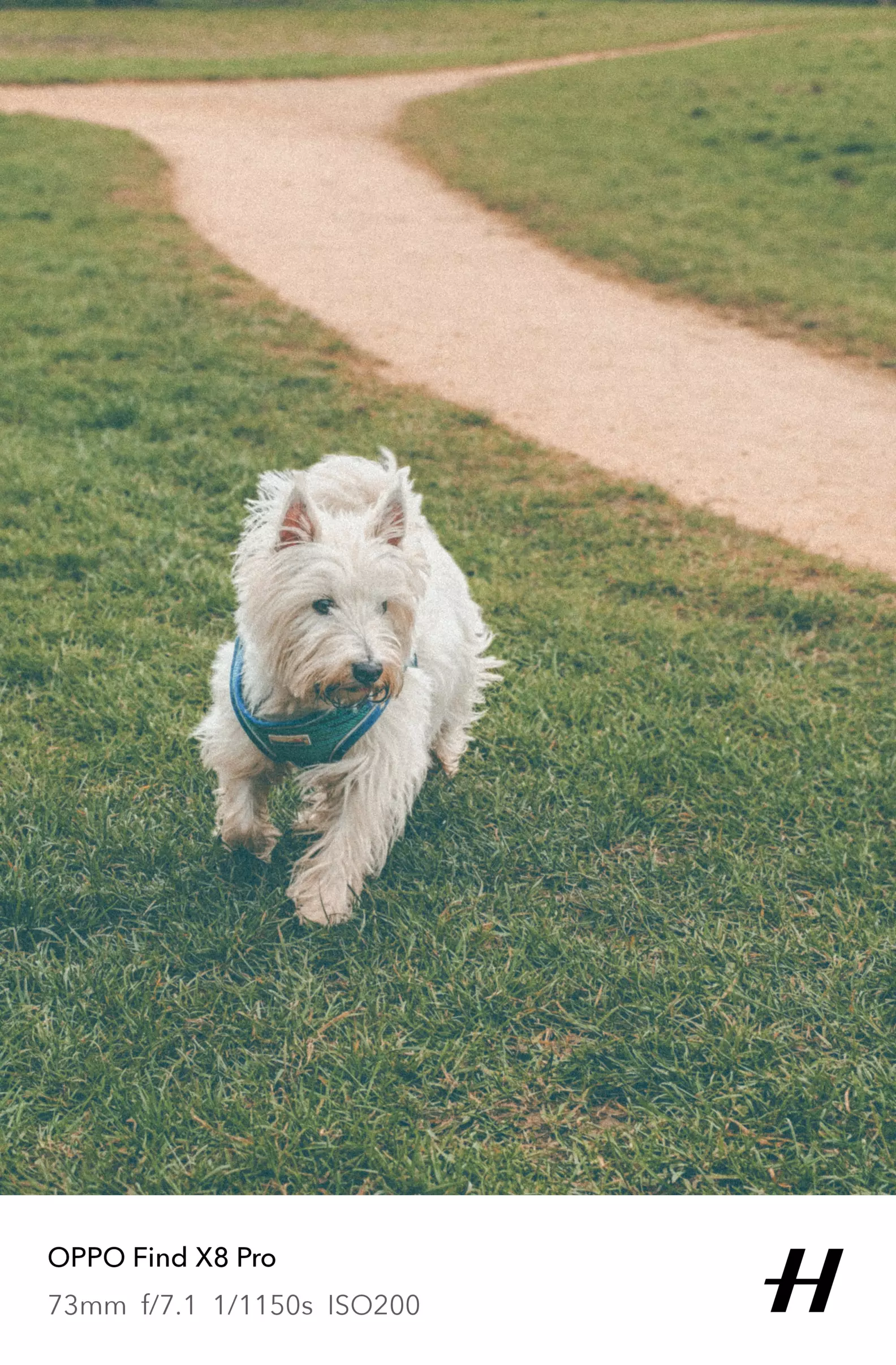 Cute little animals at the park 😁