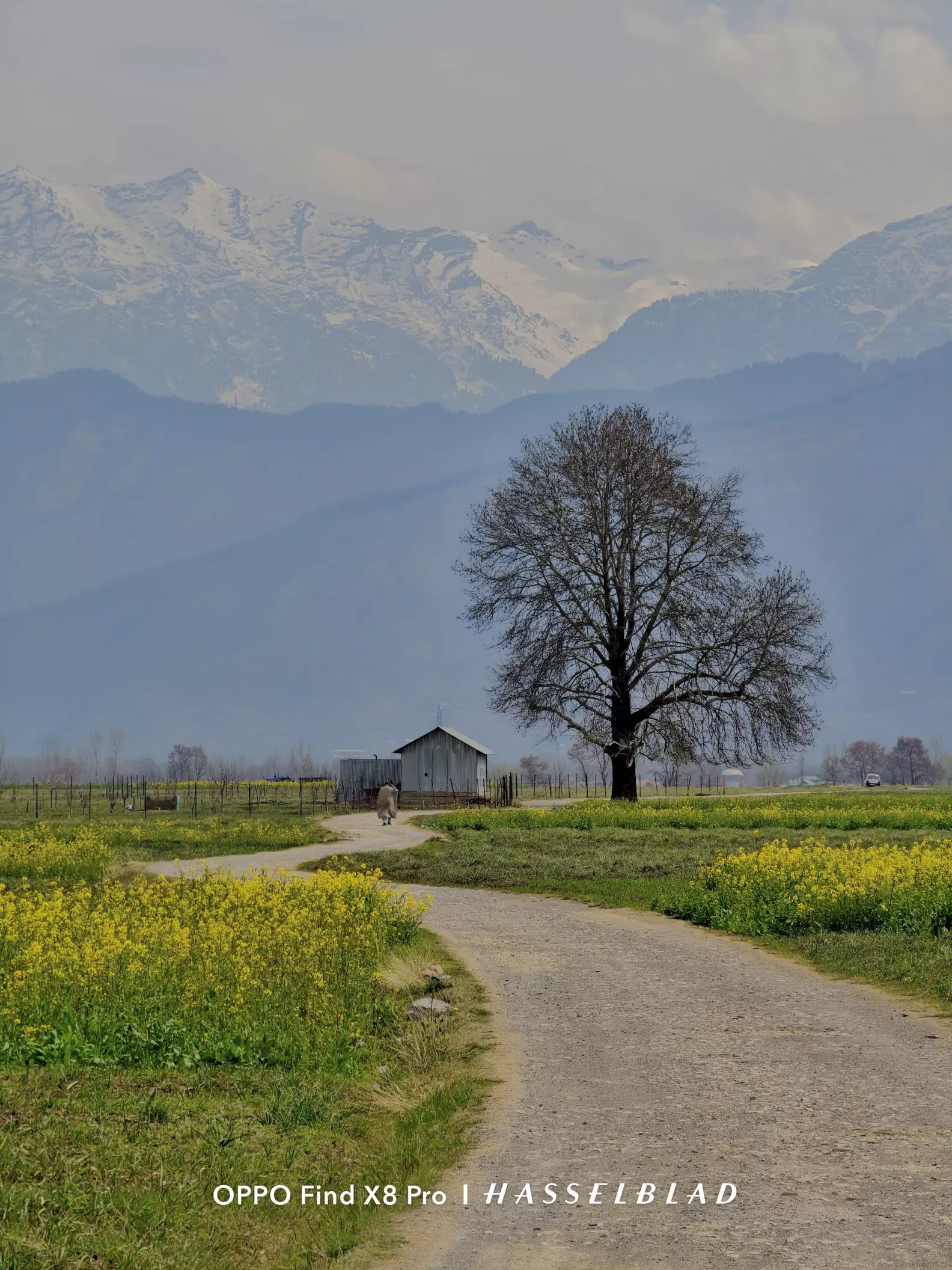 The lonely tree, the quaint hut, and the distant figure all