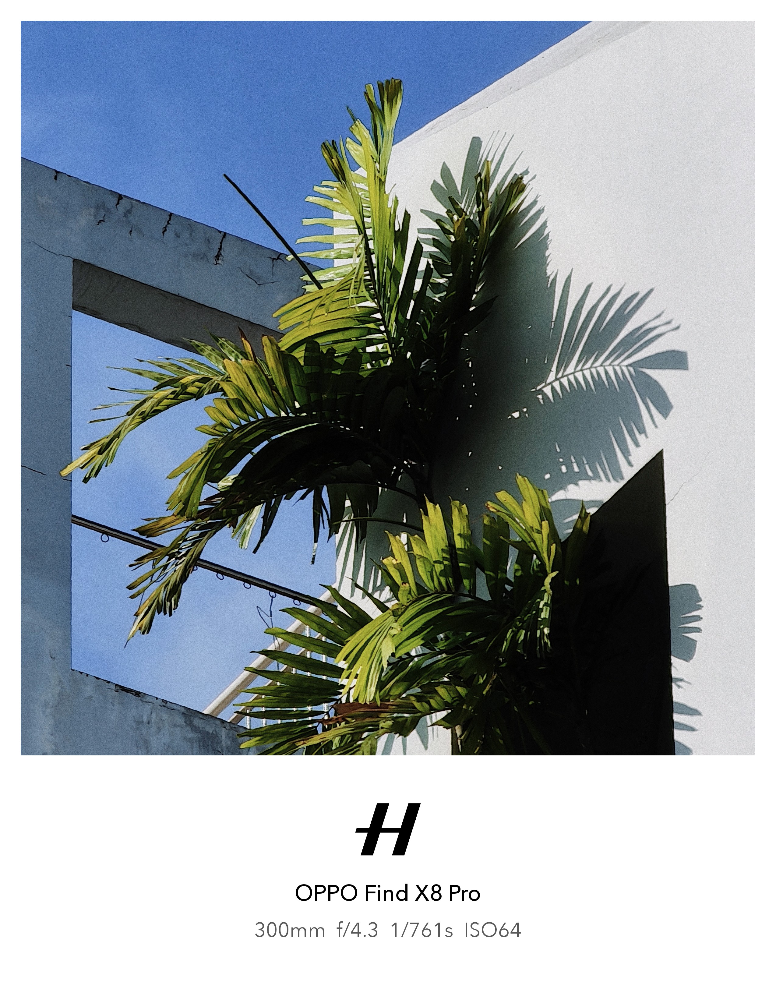 📷 Some random photos taken by OPPO Find X8 Pro.