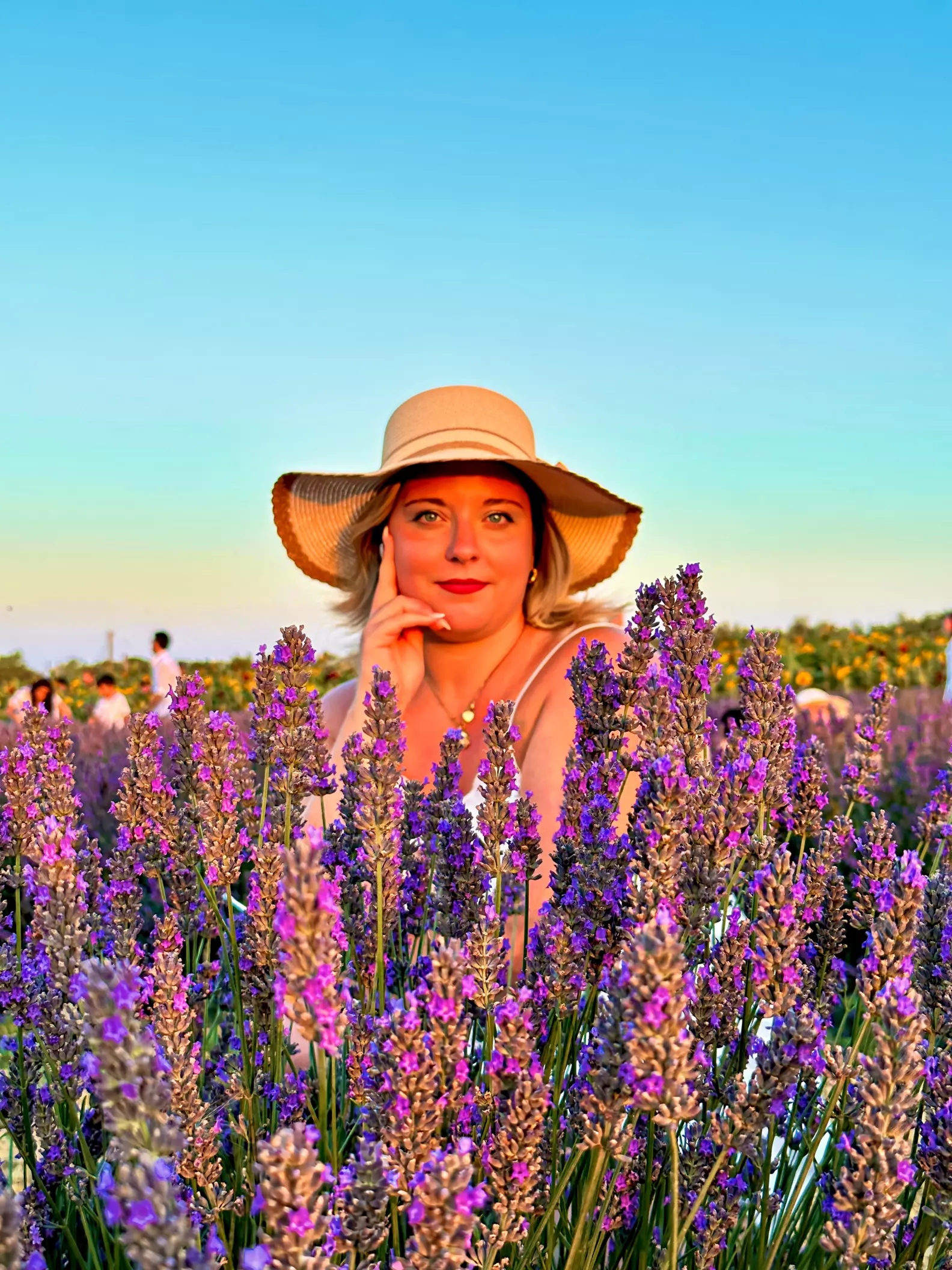 Camps of Lavander 💜 Italy 🇮🇹☀️