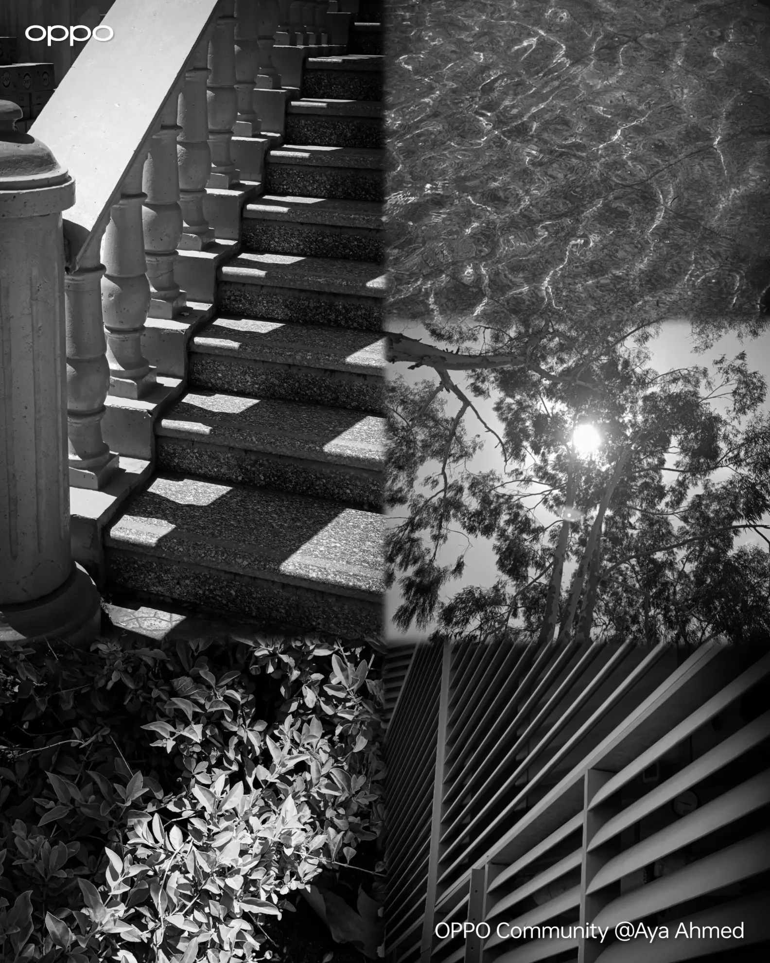 April Photography Recap!