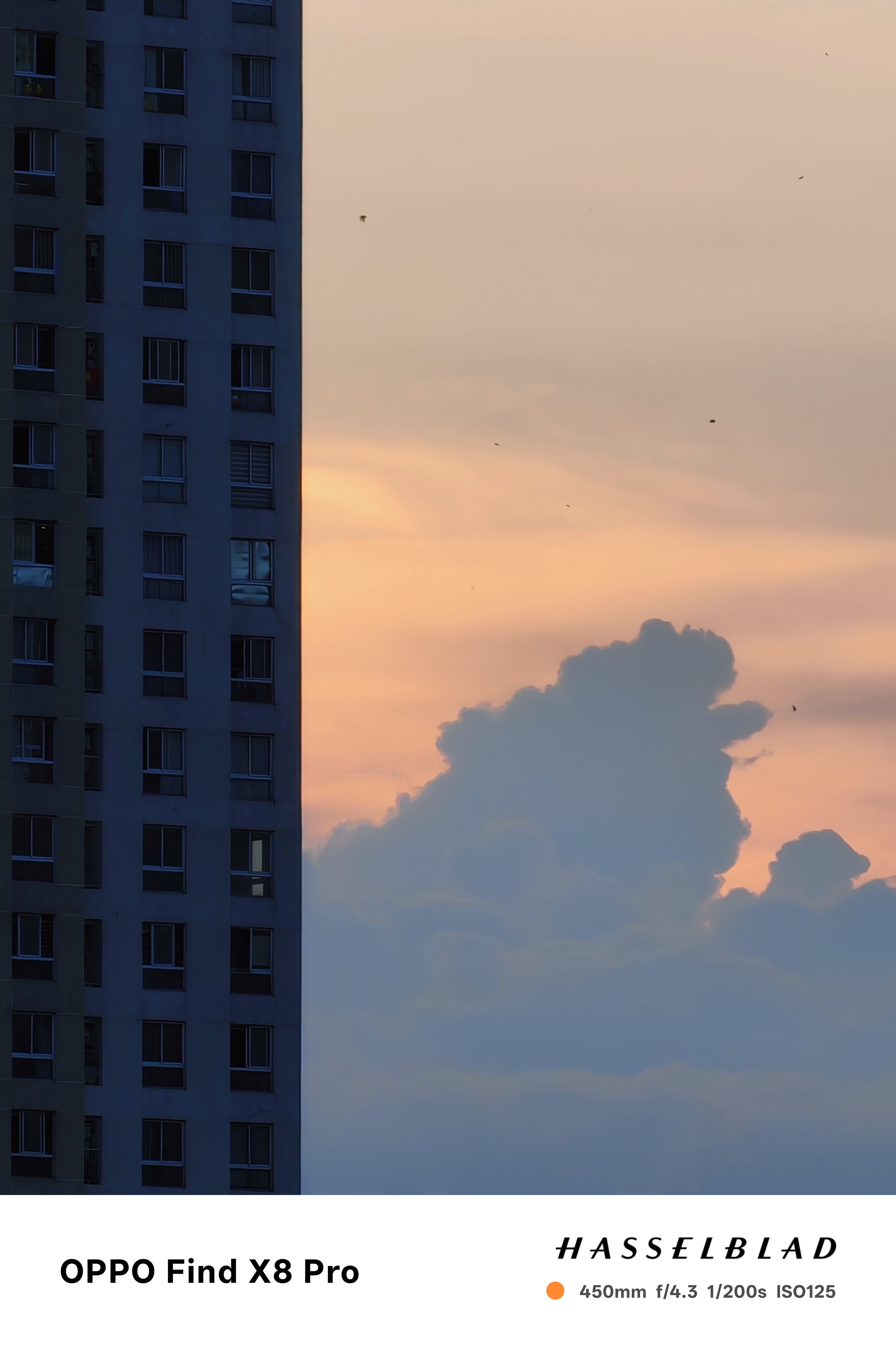 Some random photos taken in the afternoon by OPPO Find X8