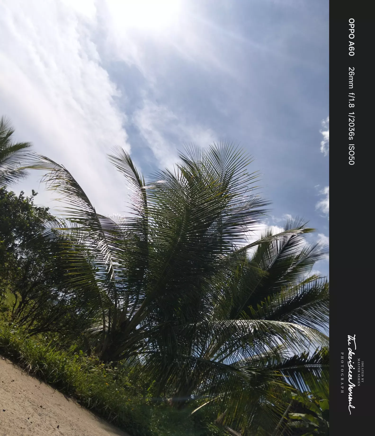 Hello Oppo Community. 👋 June skies and palm trees swaying..