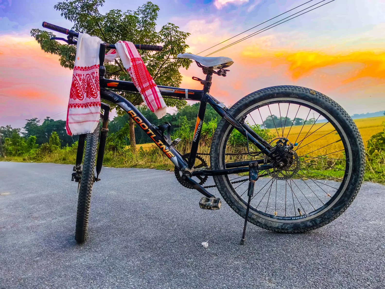 World Bicycle Day II Go Green 💚🚲