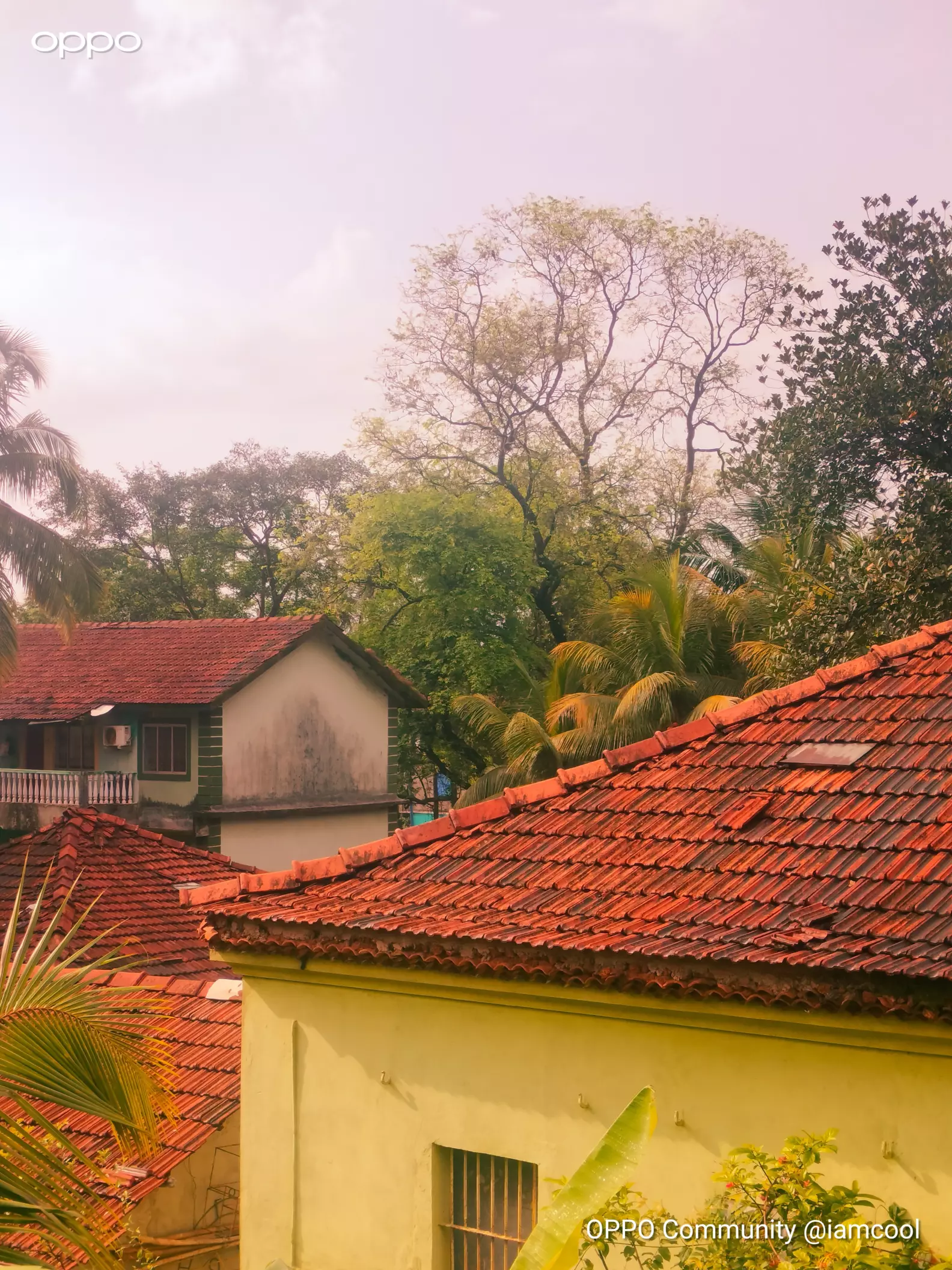 Chillin' in the heart of an old Goan neighborhood tiled roof