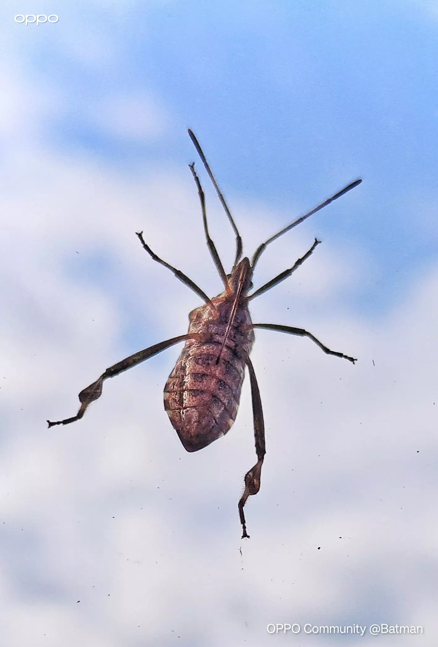 I have found a new bug, can you fix it?It came in the mornin