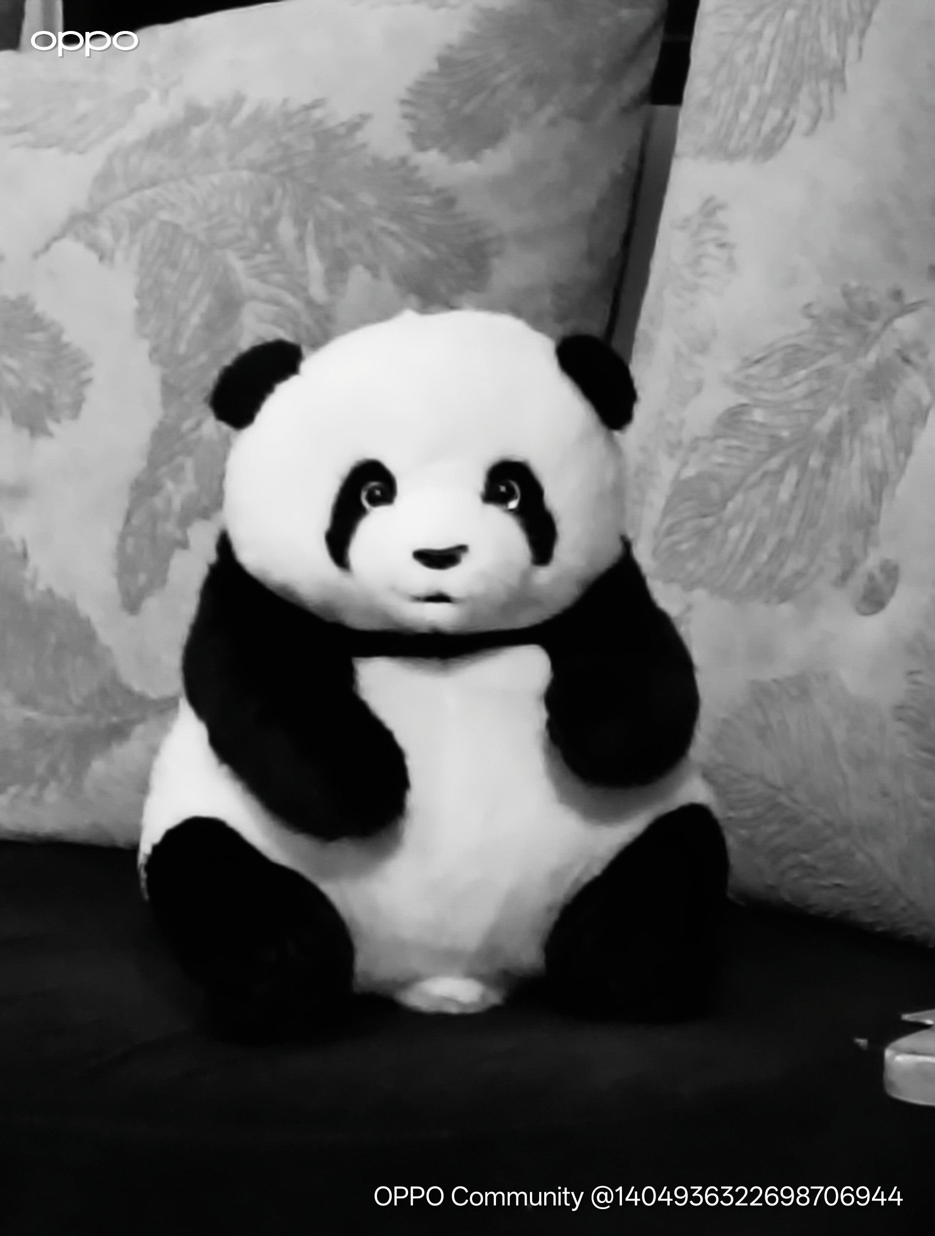 Cute panda, i just love panda that's why I just want to shar