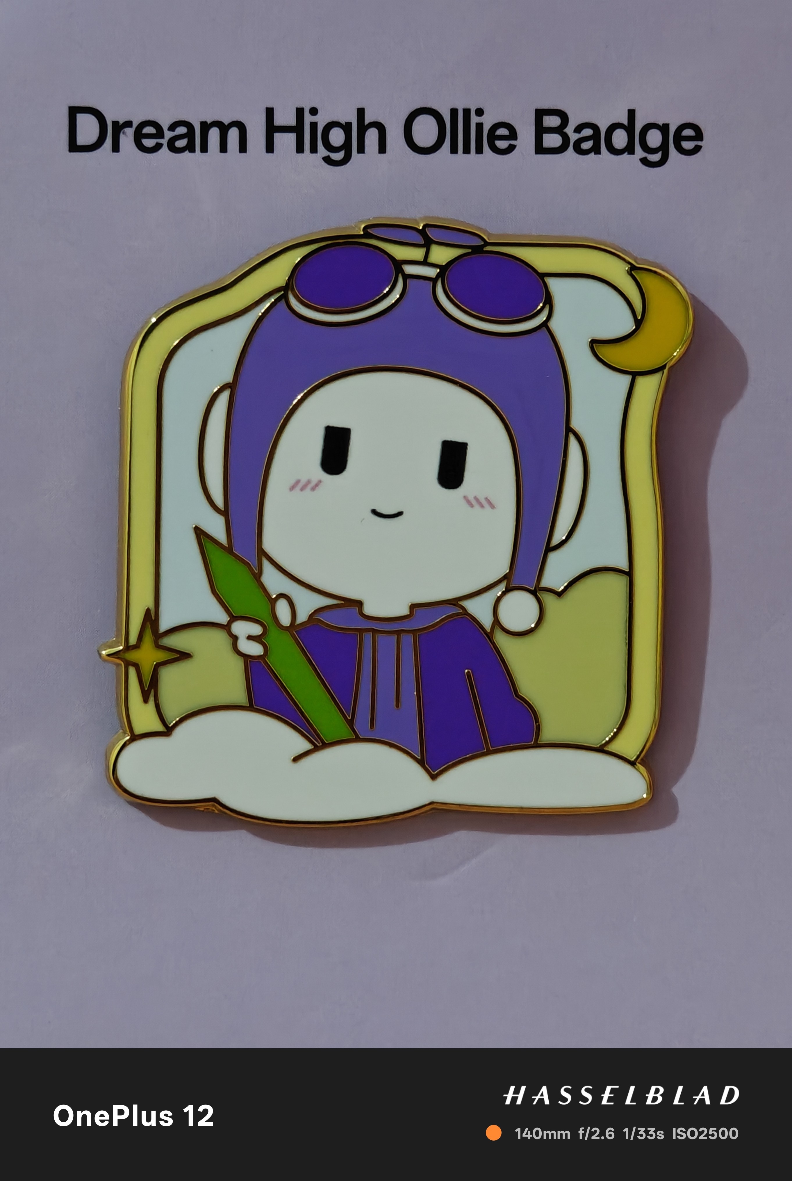 Mission Complete : Sky Victory Ollie + All 6 Badges Collected 💚