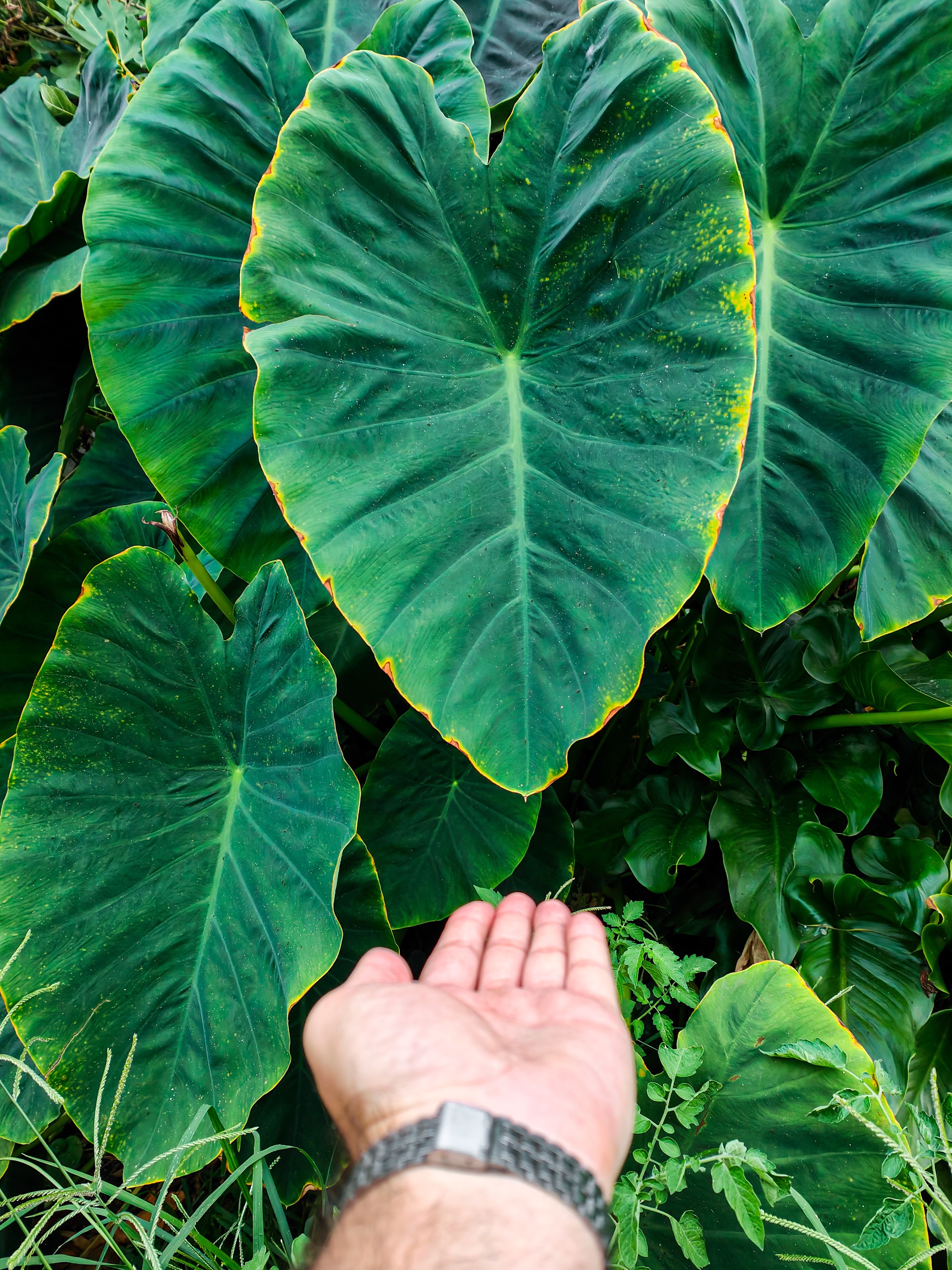 Have you ever felt like nobody was there?Have you ever felt