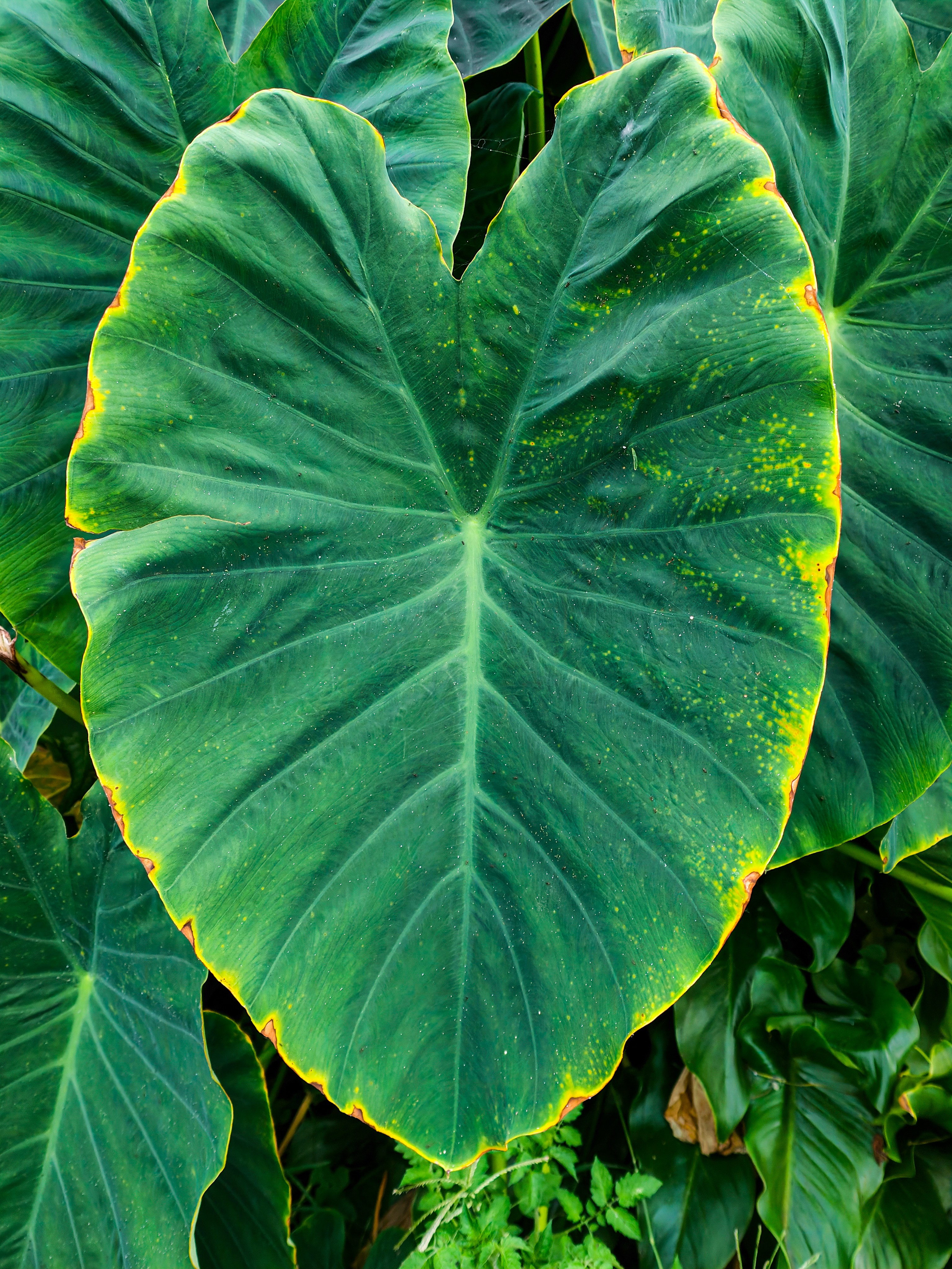 Have you ever felt like nobody was there?Have you ever felt