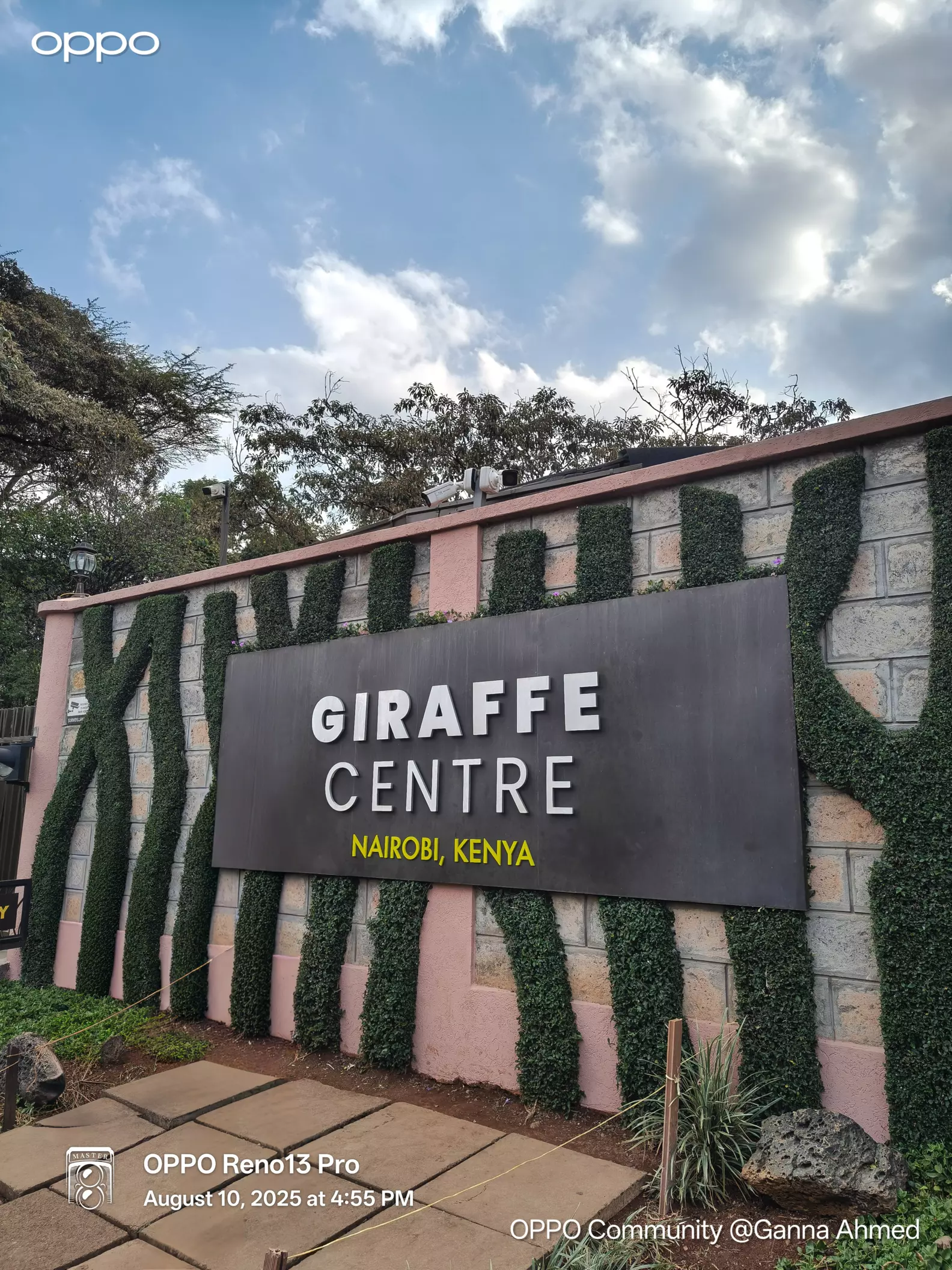 Having a weekend with the Giraffes 🦒