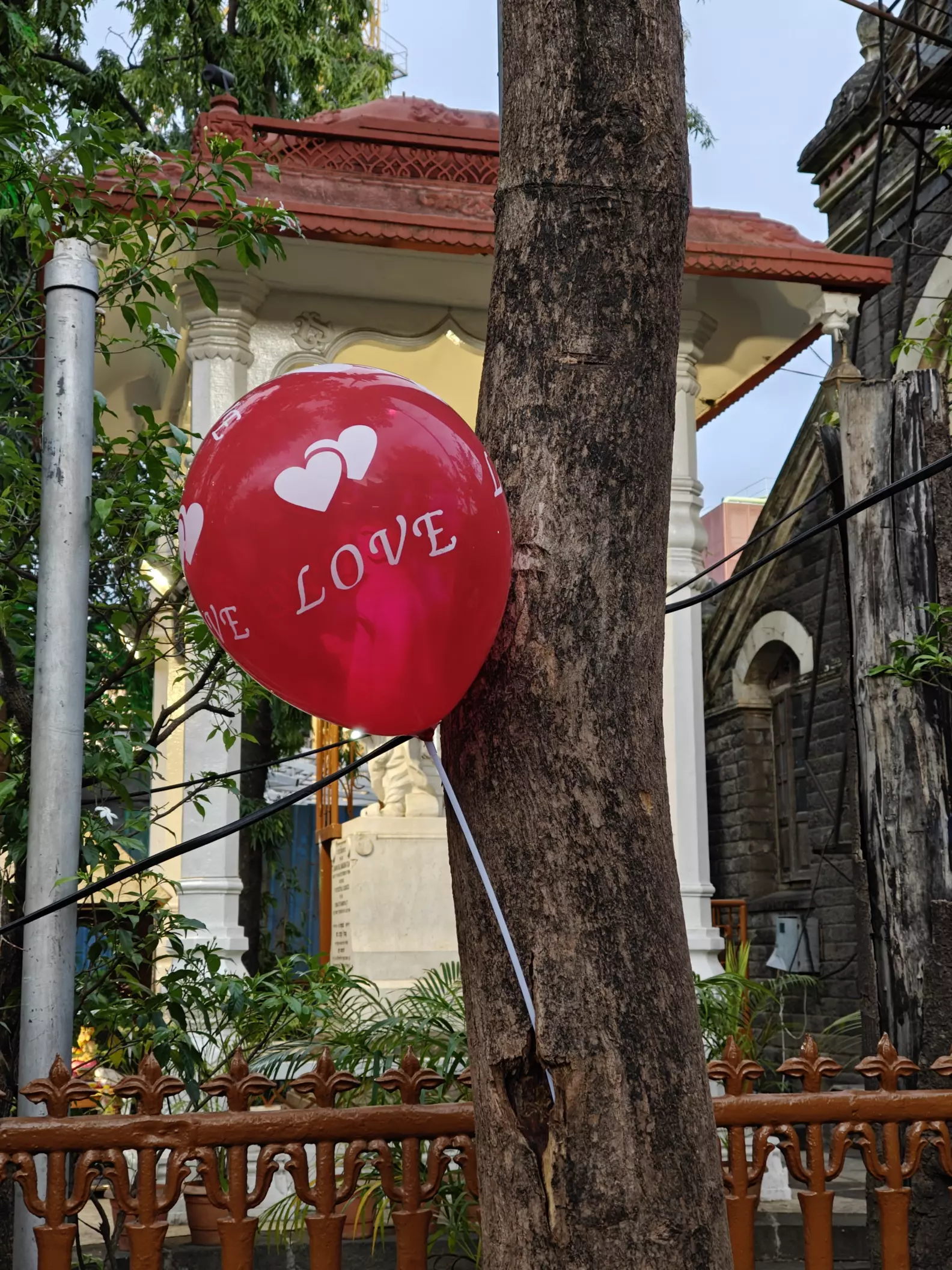 Tangled in wires, stuck on trees... but love always finds a