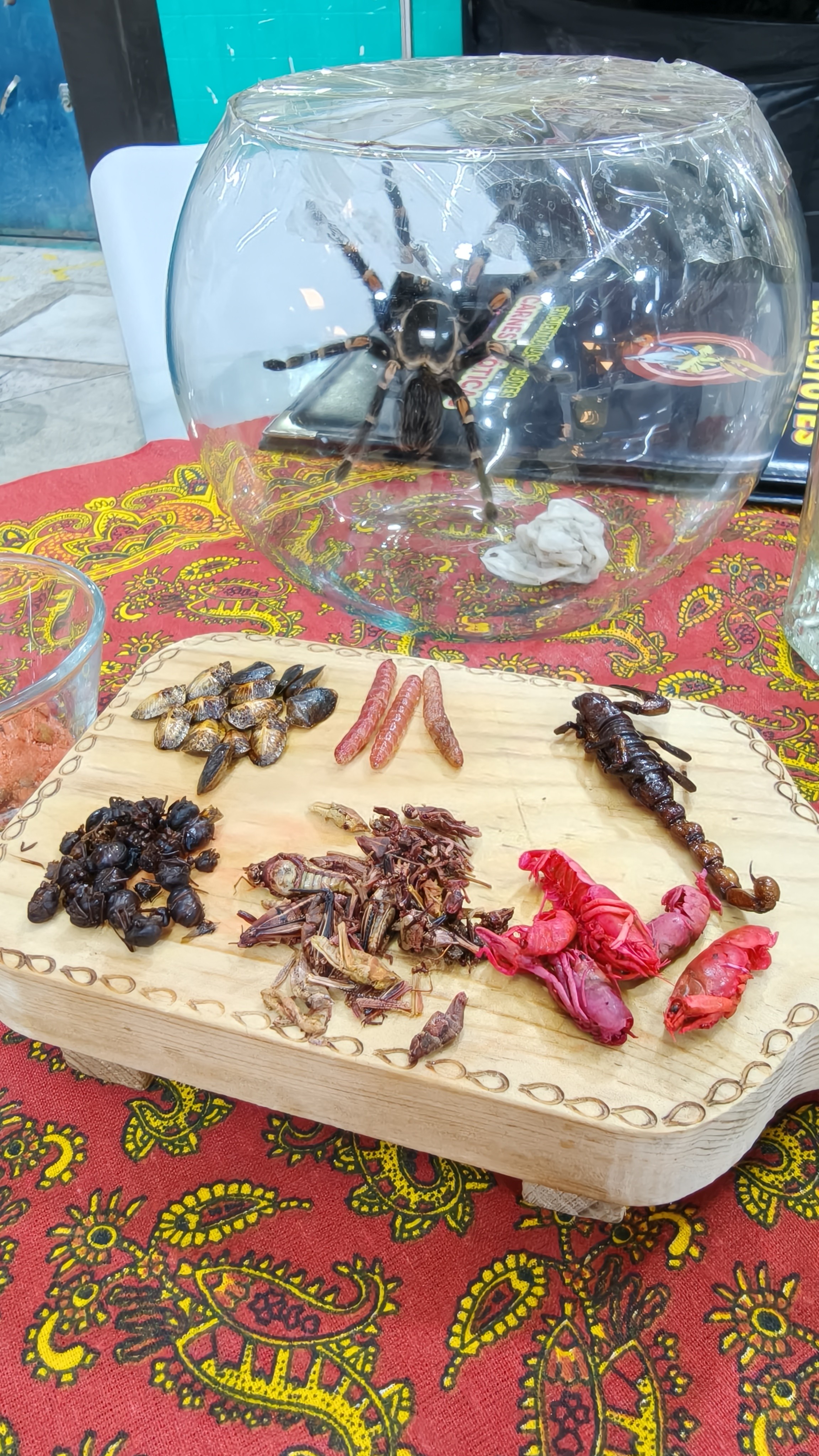 WE VENTURED TO TRY EXOTIC FOOD.
