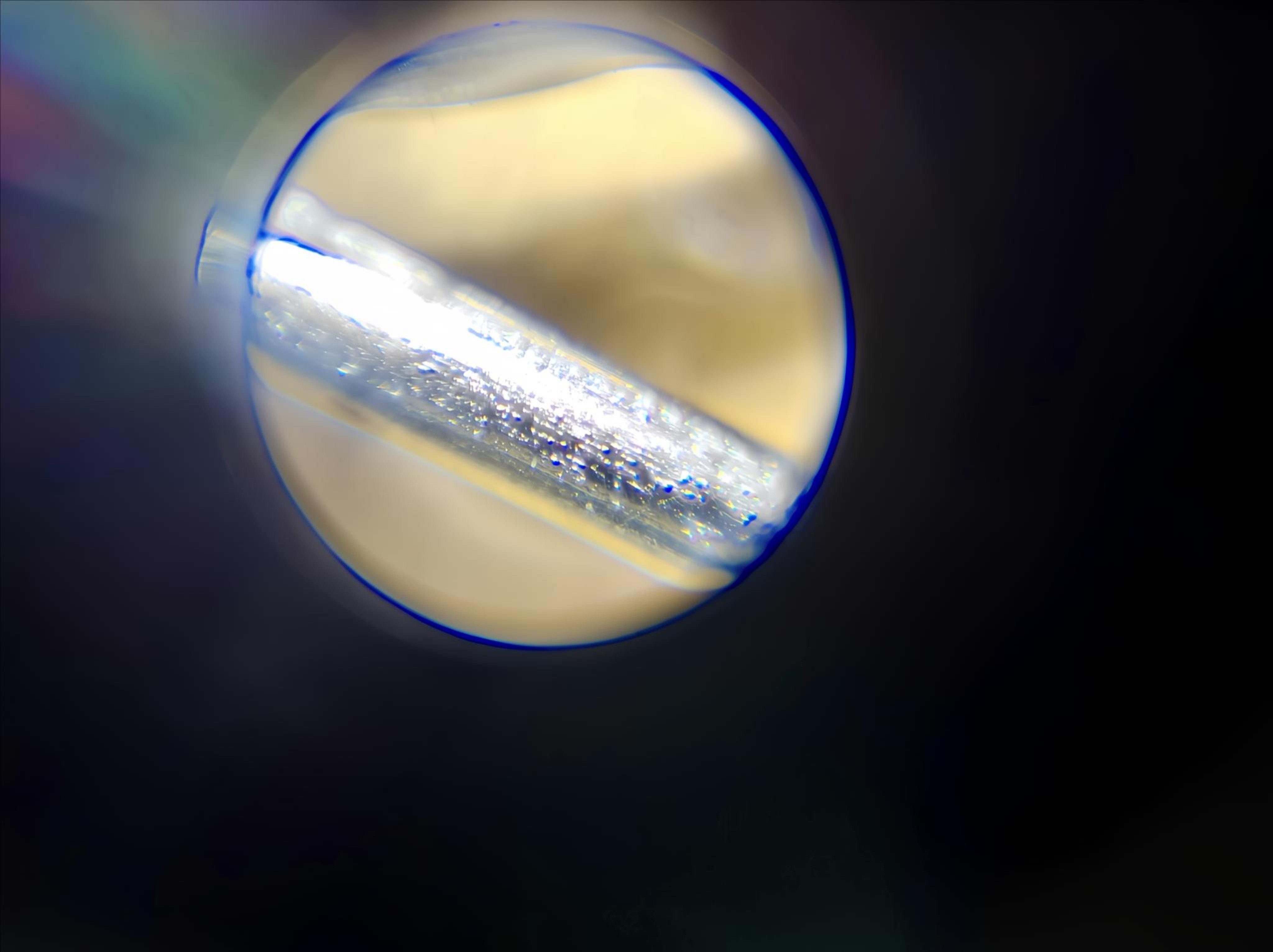 Under the microscope, a metal clip appears smooth and reflec