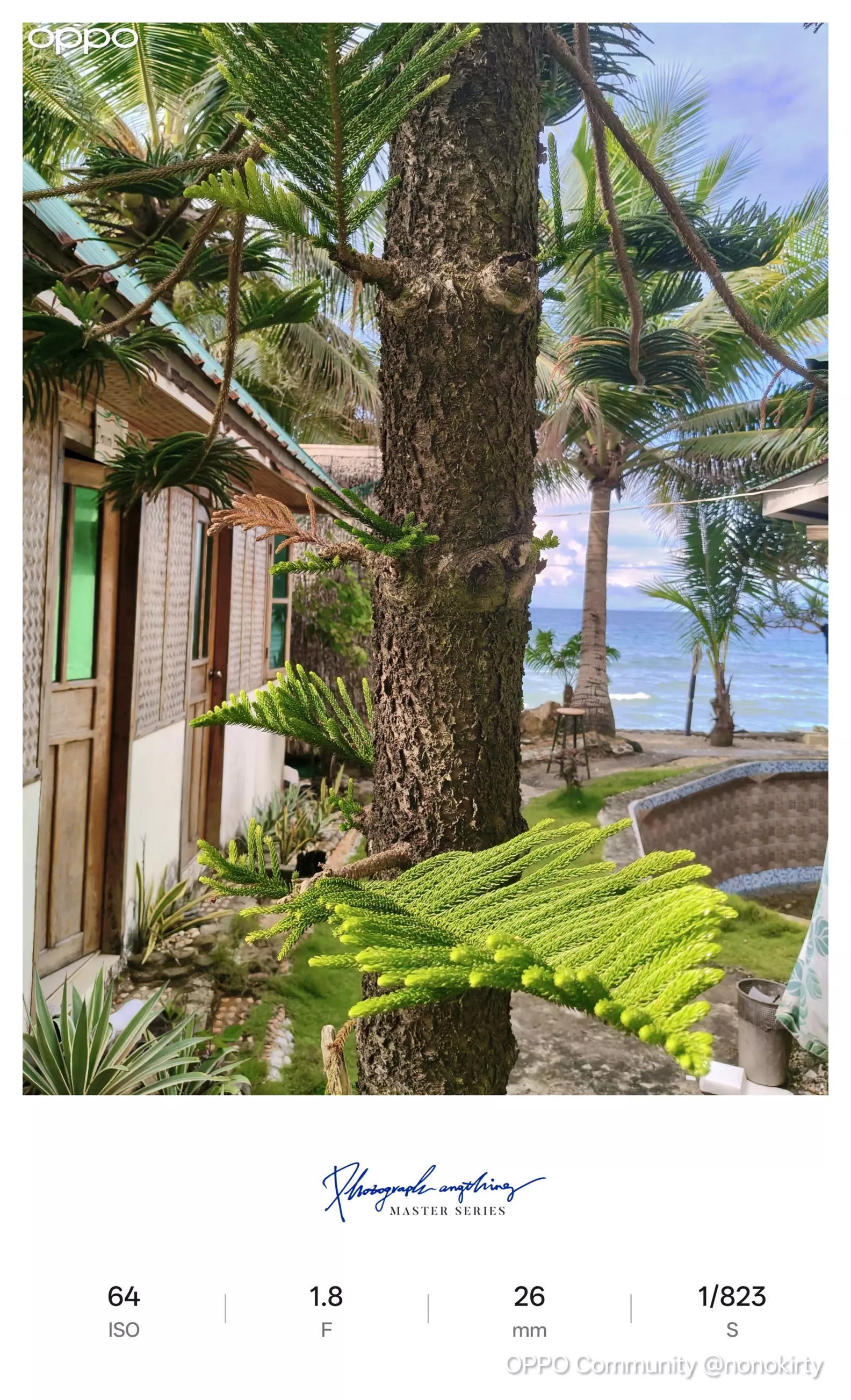 The window shows the sea not too far away. You can see trees