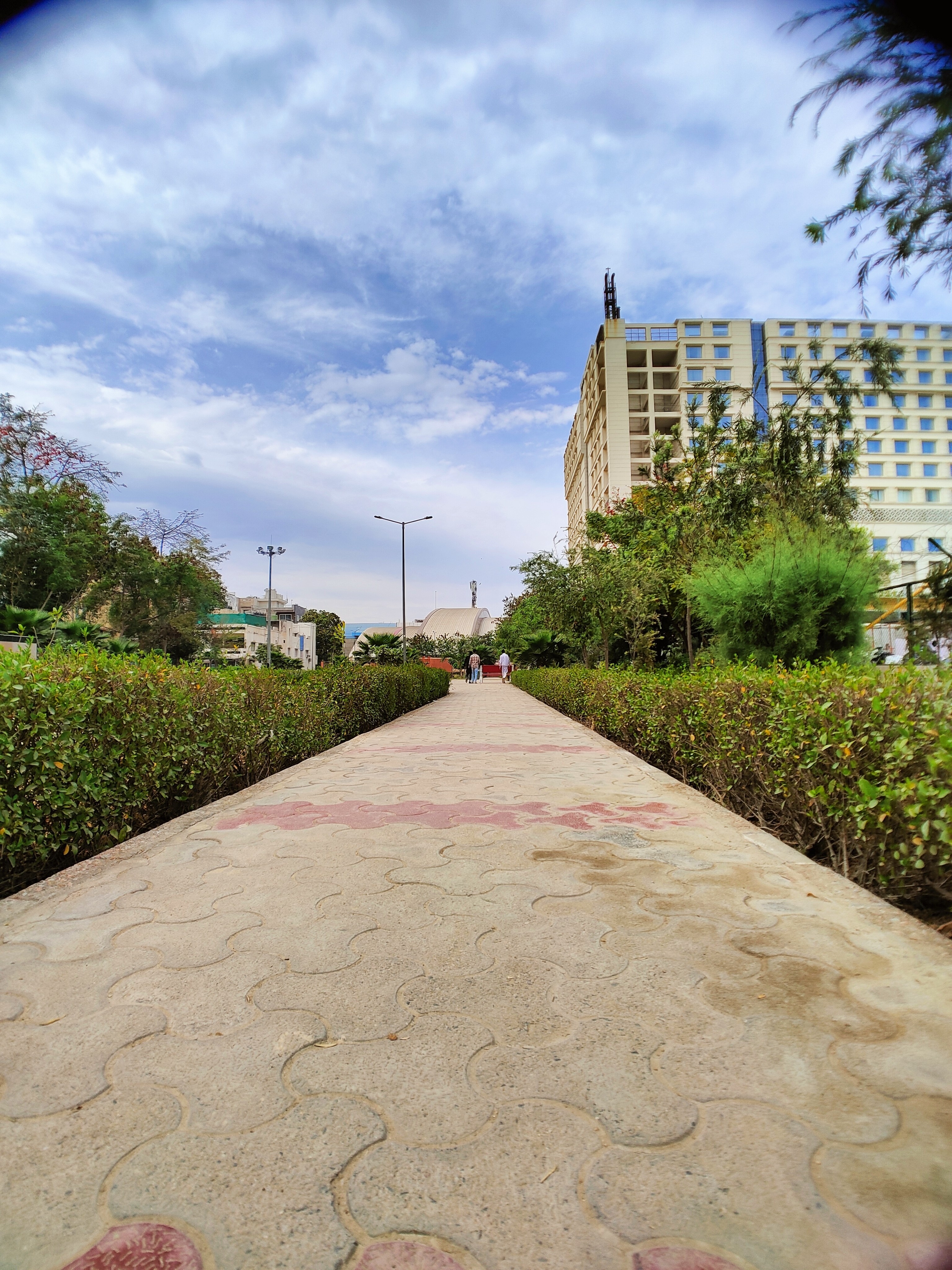 Hi OPPO Mates, Capturing the park’s serene beauty, my photog