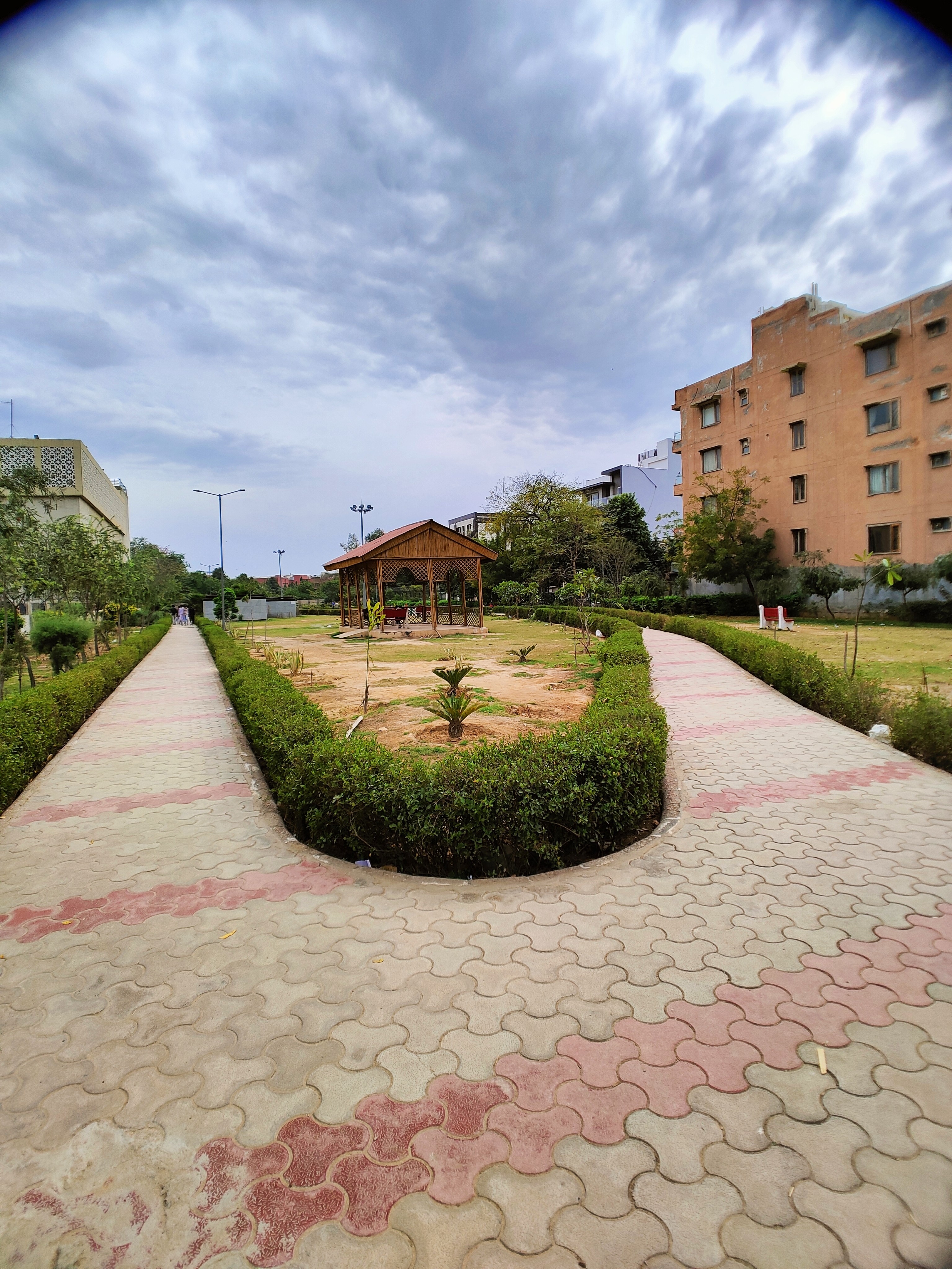 Hi OPPO Mates, Capturing the park’s serene beauty, my photog