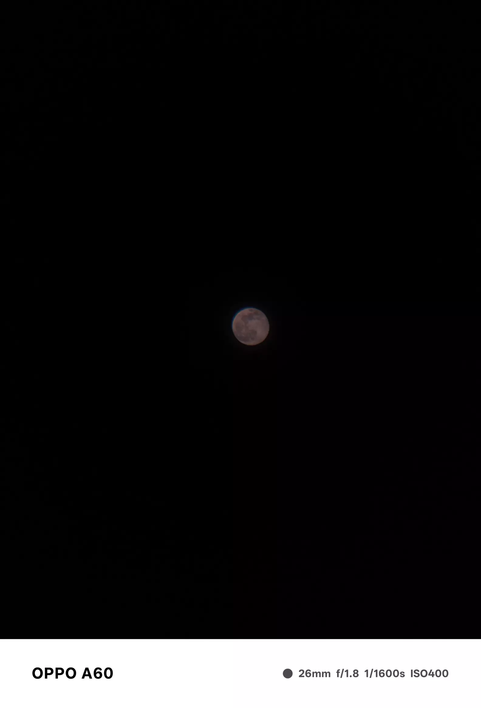 I would like to share my shot from my oppo a60 of my full mo