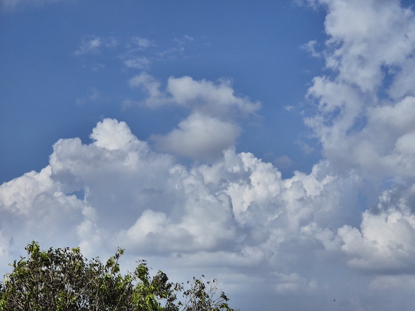 Cloudy whether
