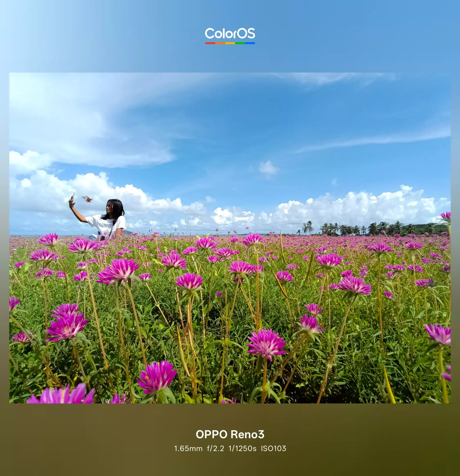 My OPPO Photography Journey : OPPO RENO 3 ( Part 4 )